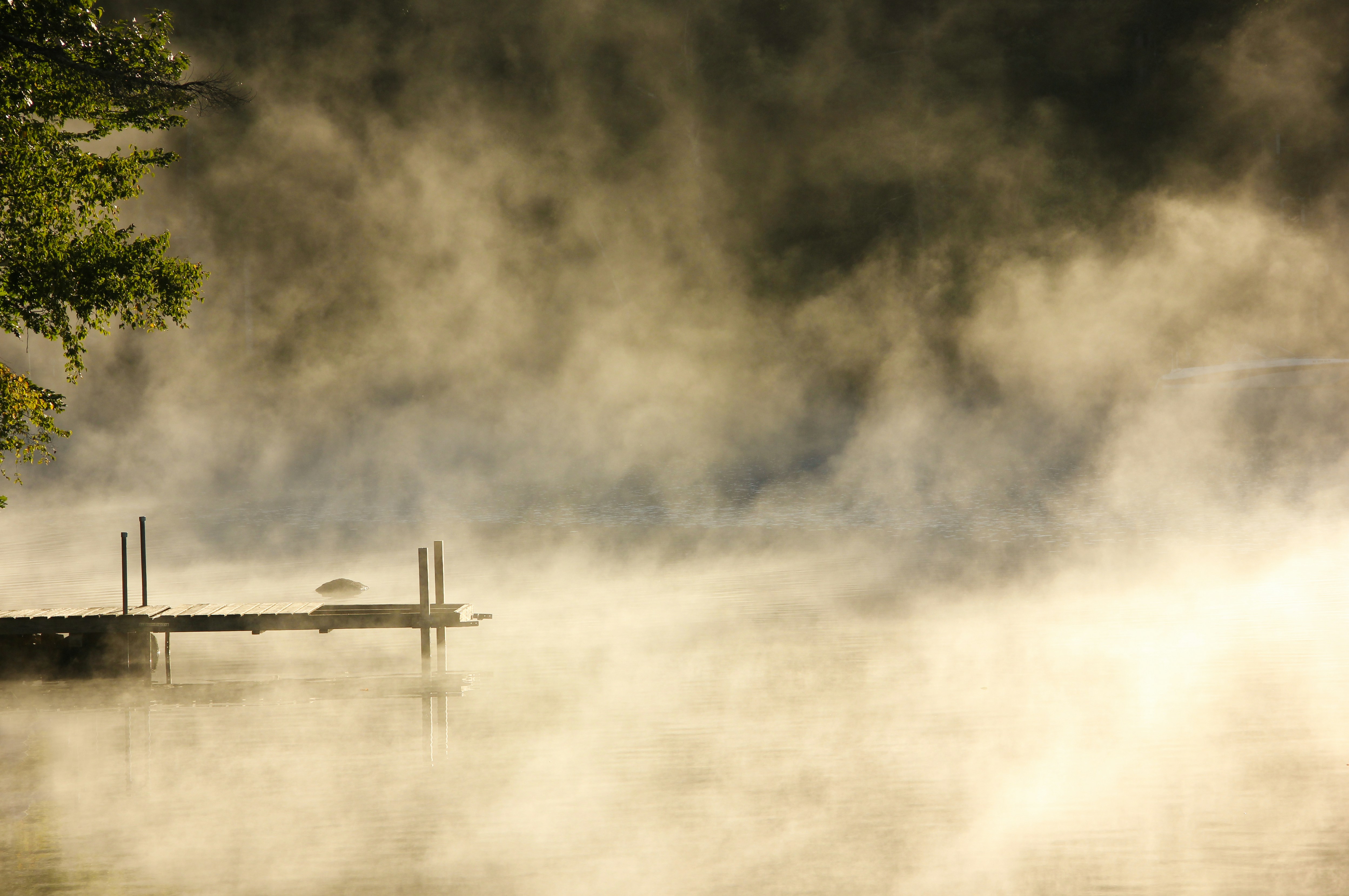 Mist-Wreathed Dock at First Light