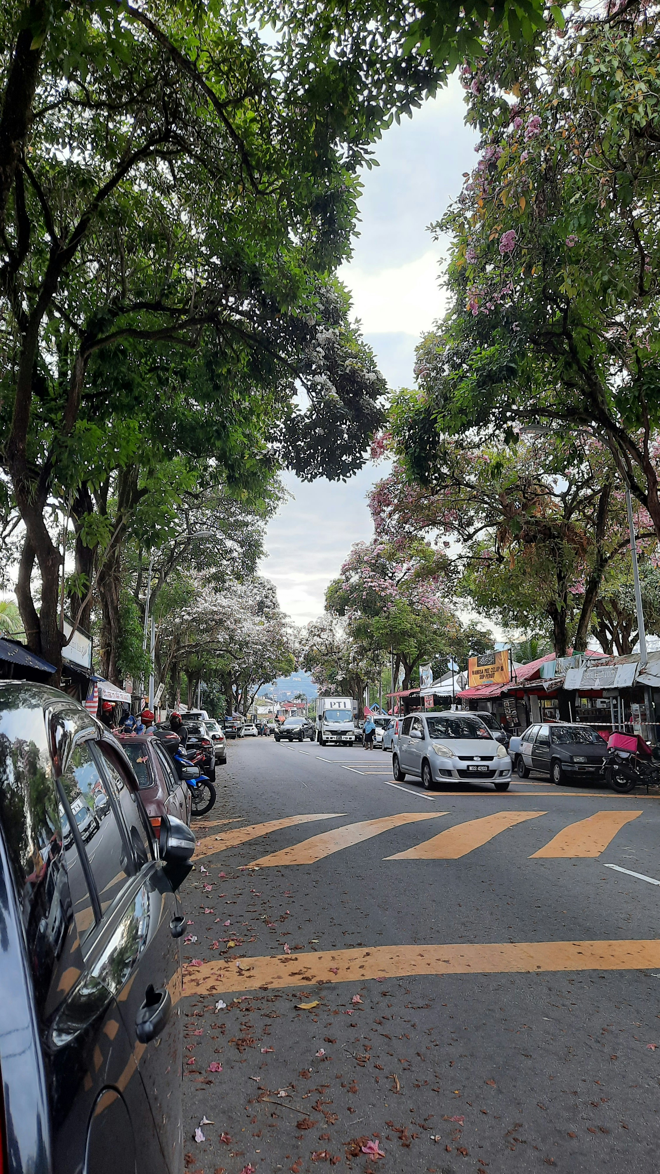 A tree-lined street bustling with vehicles, framed by vibrant blossoms and a cloudy sky. The scene captures the lively atmosphere of a local market area.