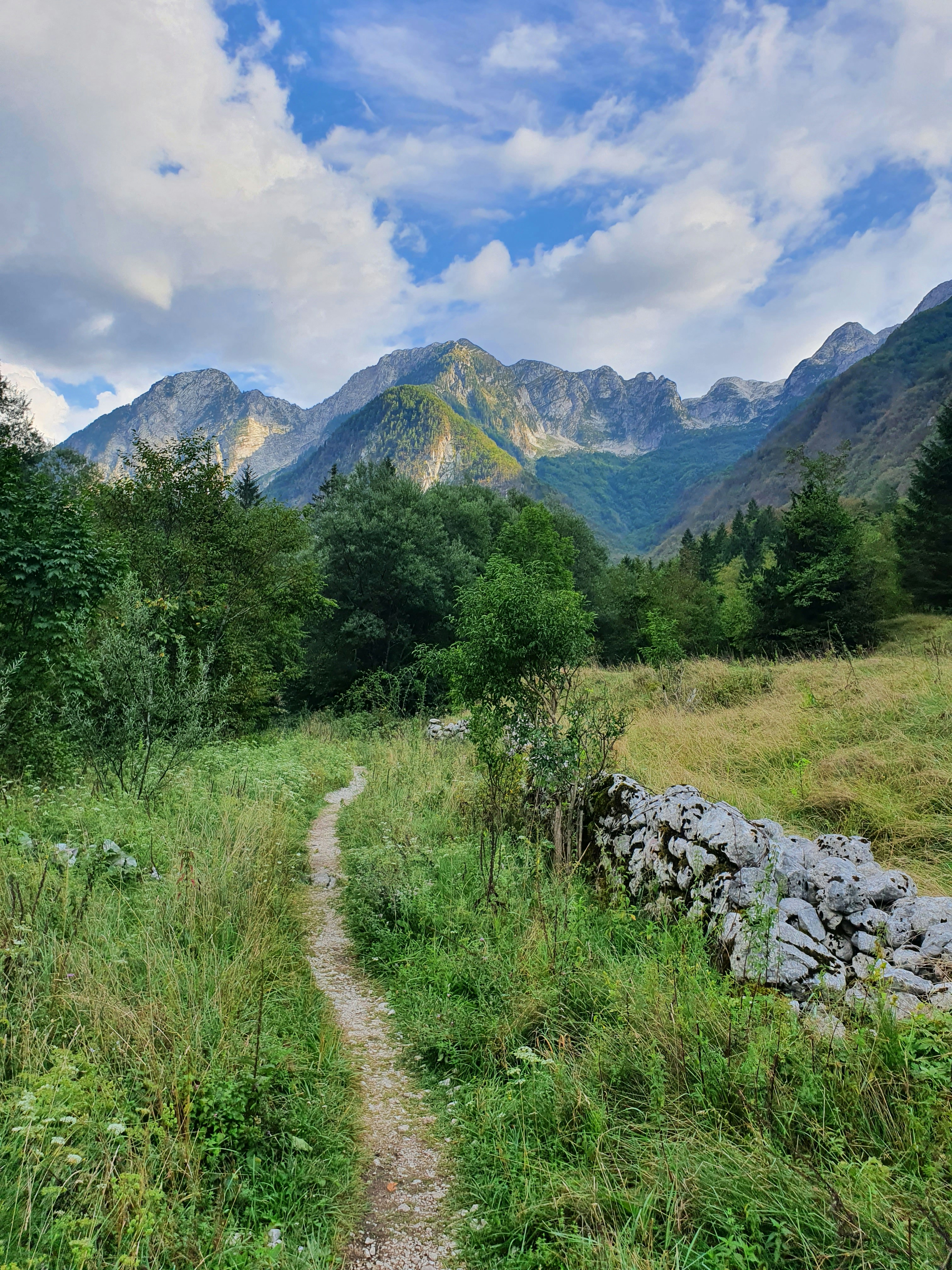 Winding trail leading through lush greenery towards majestic mountains under a partly cloudy sky.