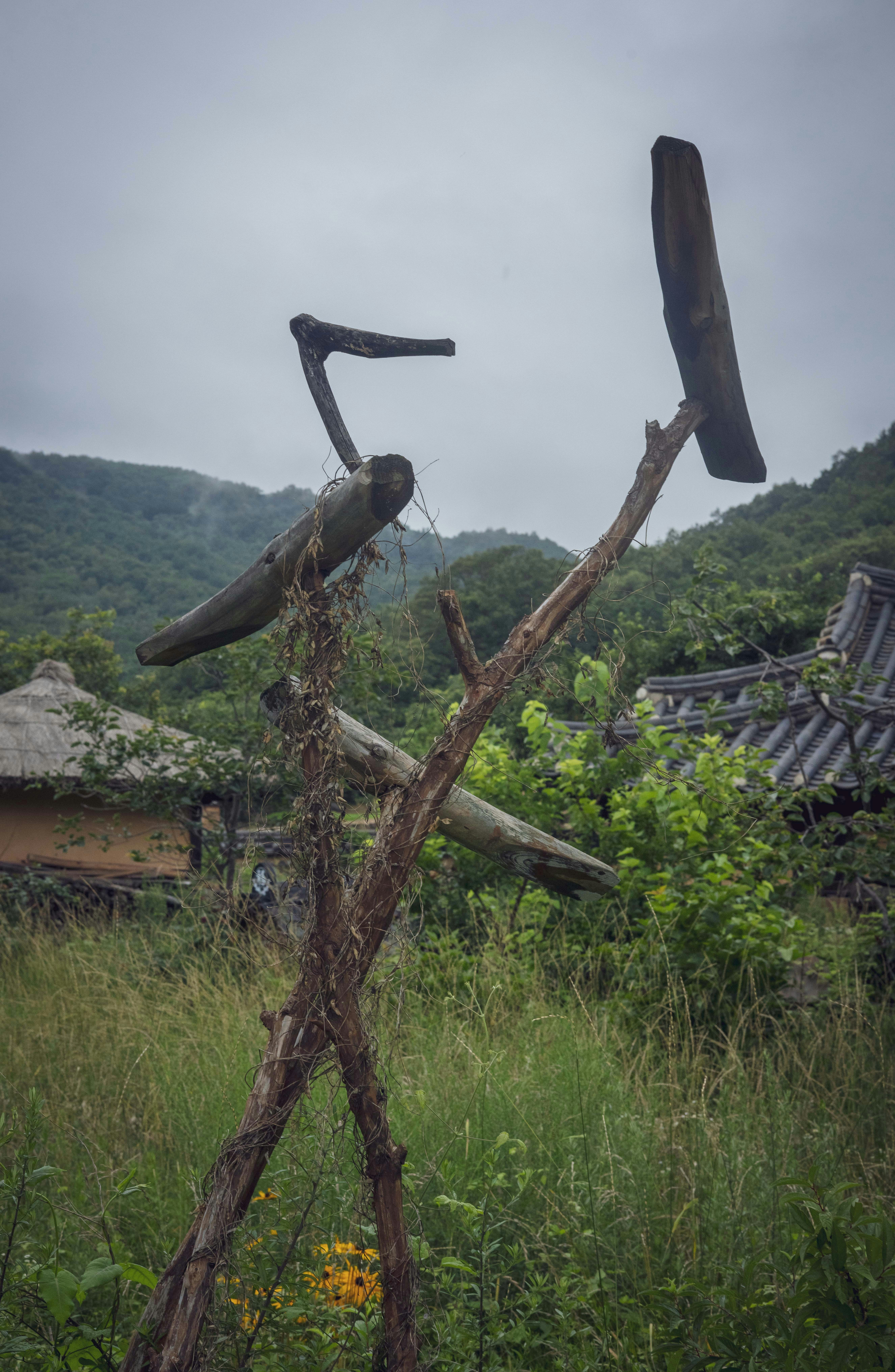 Sotdae Fotos | Baixe imagens gratuitas na Unsplash