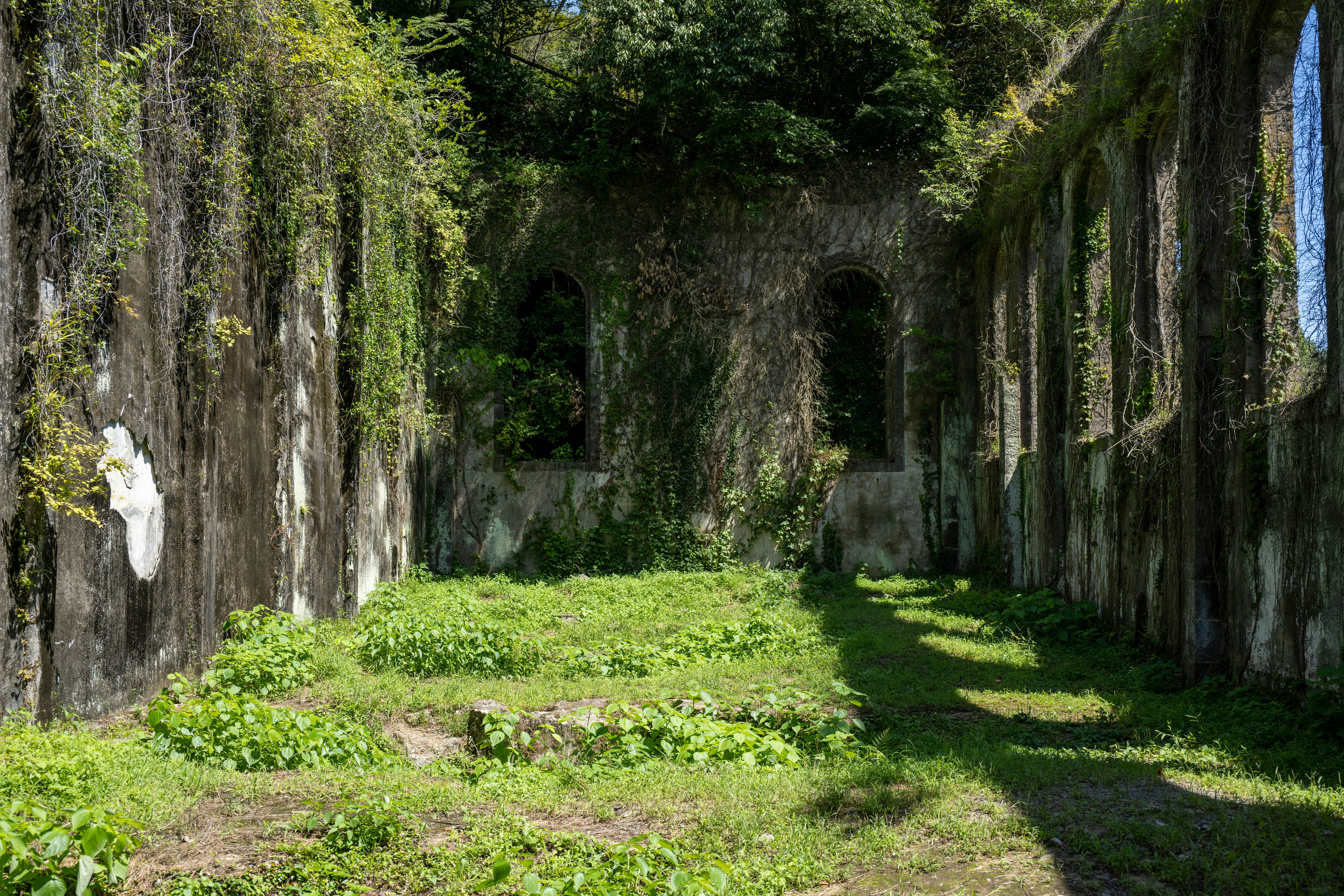 Photo by Kouji Tsuru with Nikon Z7 II