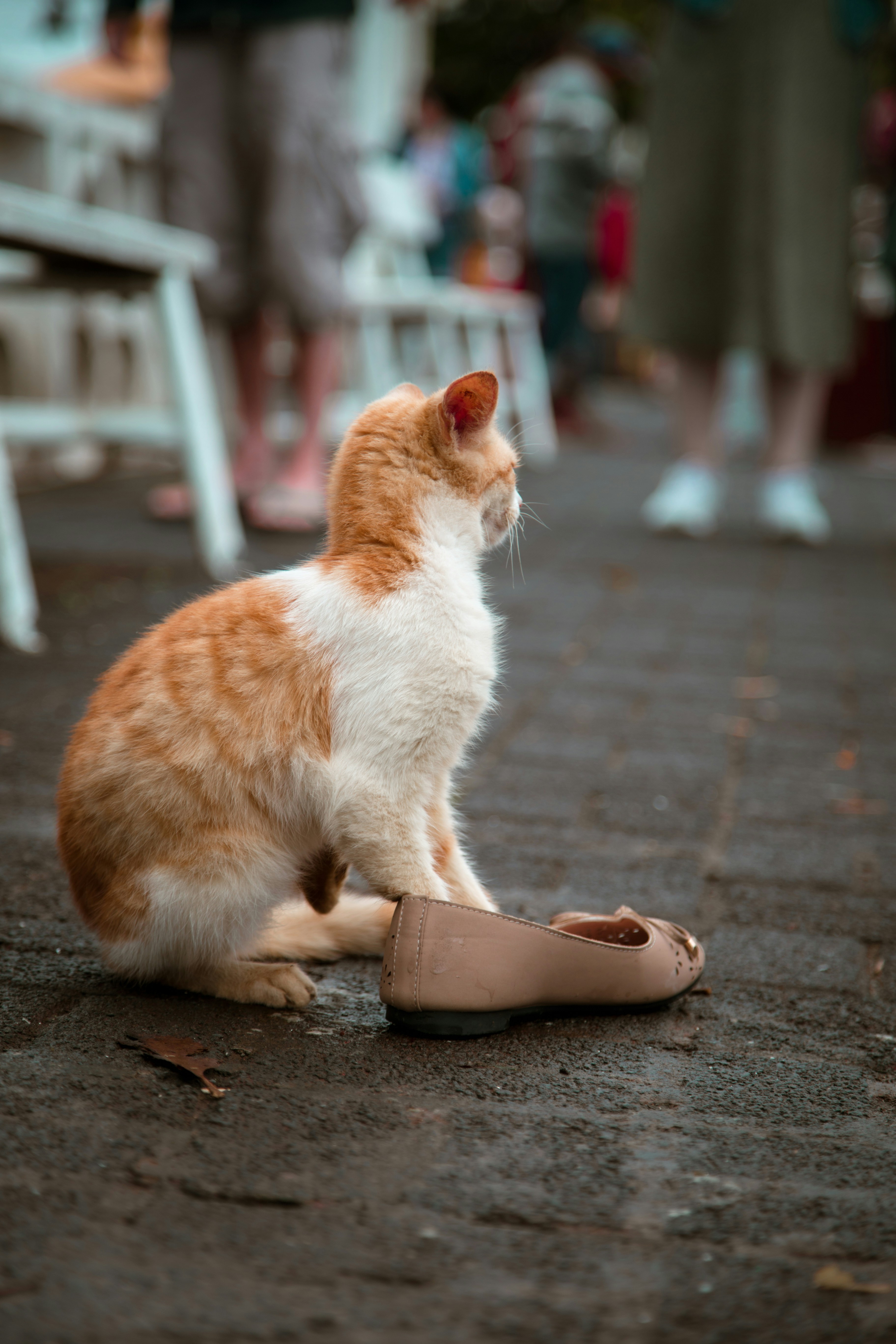 Photo by Samy MOUNICHY with Canon EOS 6D