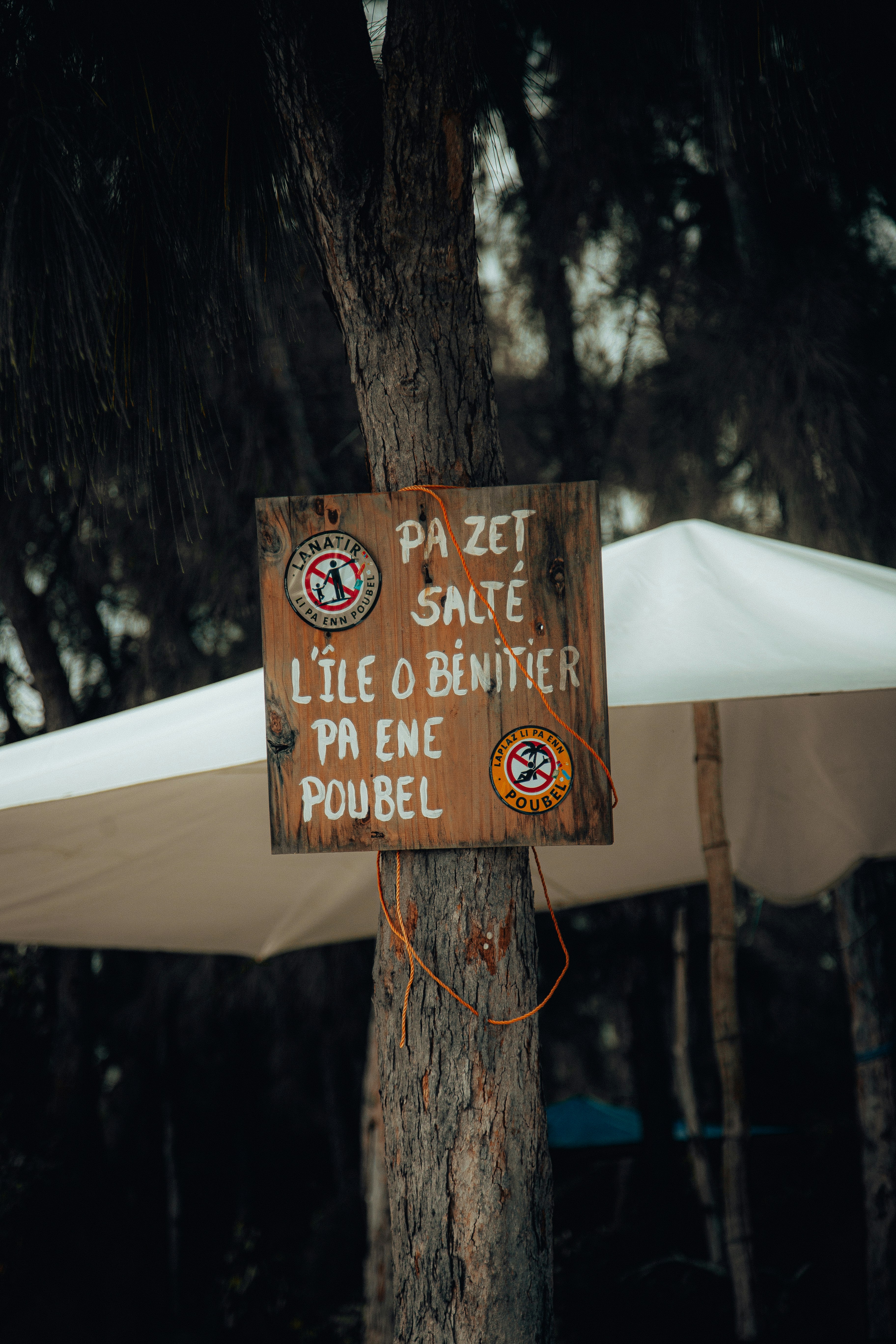 Wooden Sign on a Tree: No Smoking Message in a Forest Camp