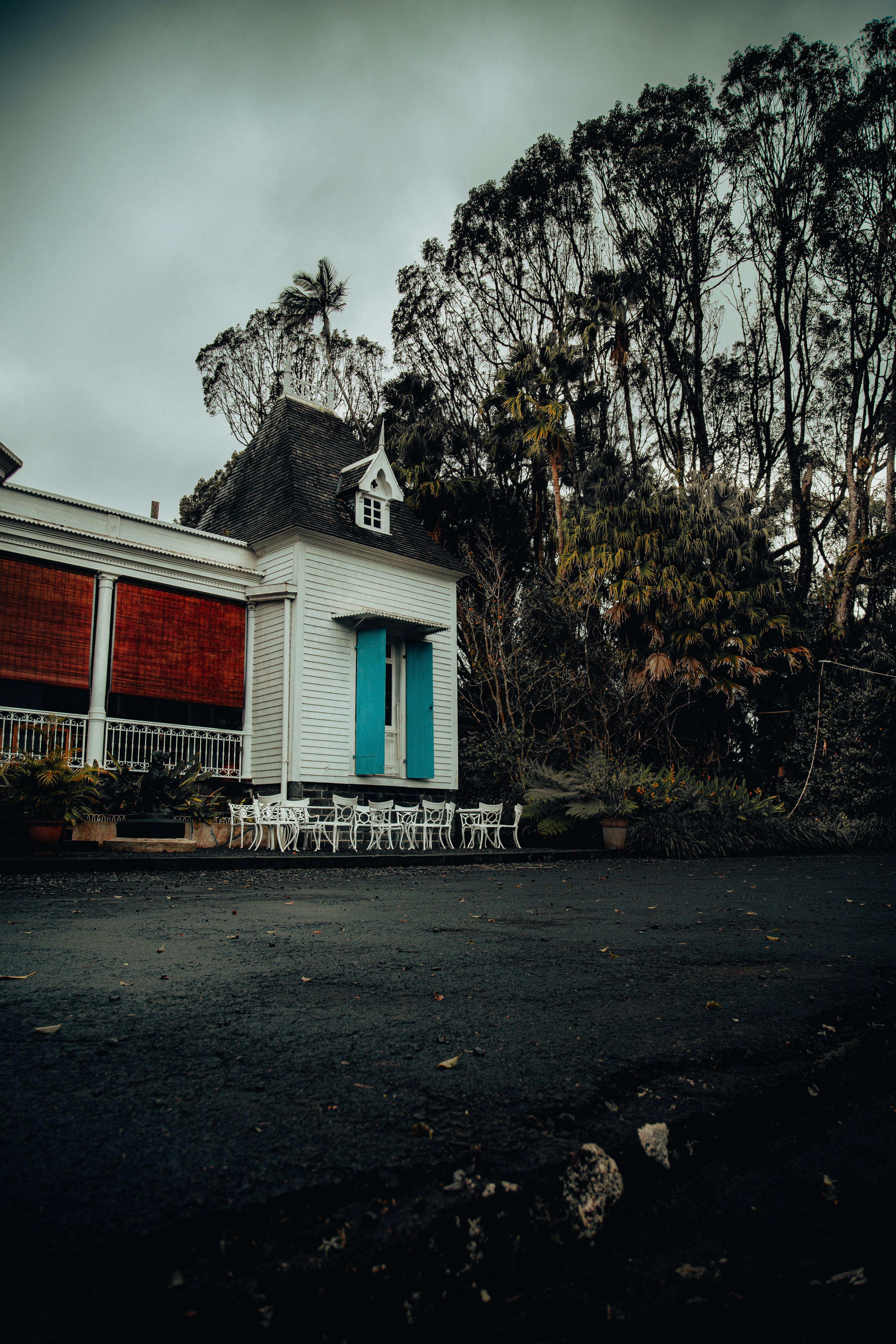The Turquoise Threshold: A White Cottage Framed by Quiet Trees
