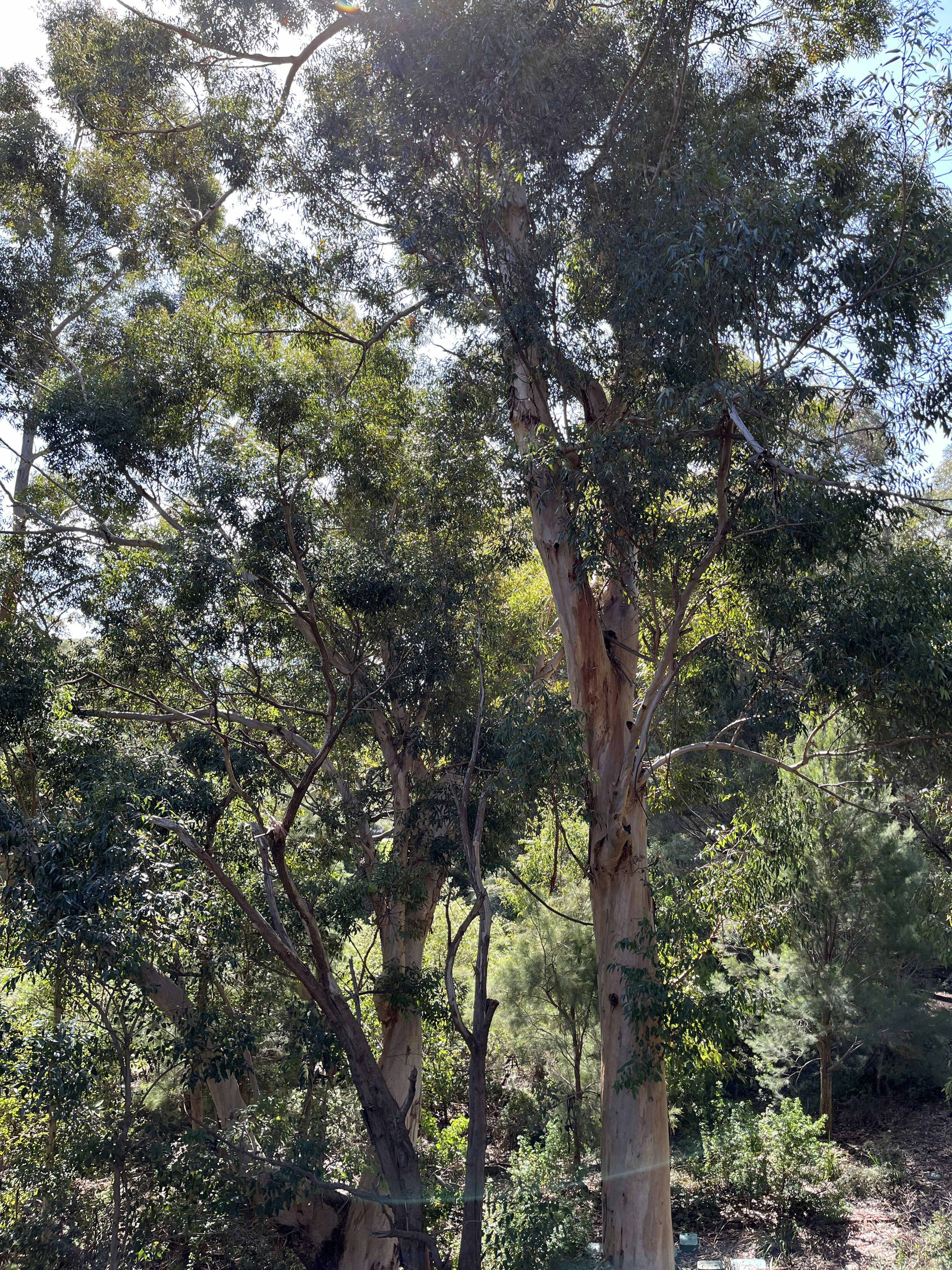 Photo by Pierre-Henry Soria @ PierreHenry.dev with Apple iPhone 13 mini