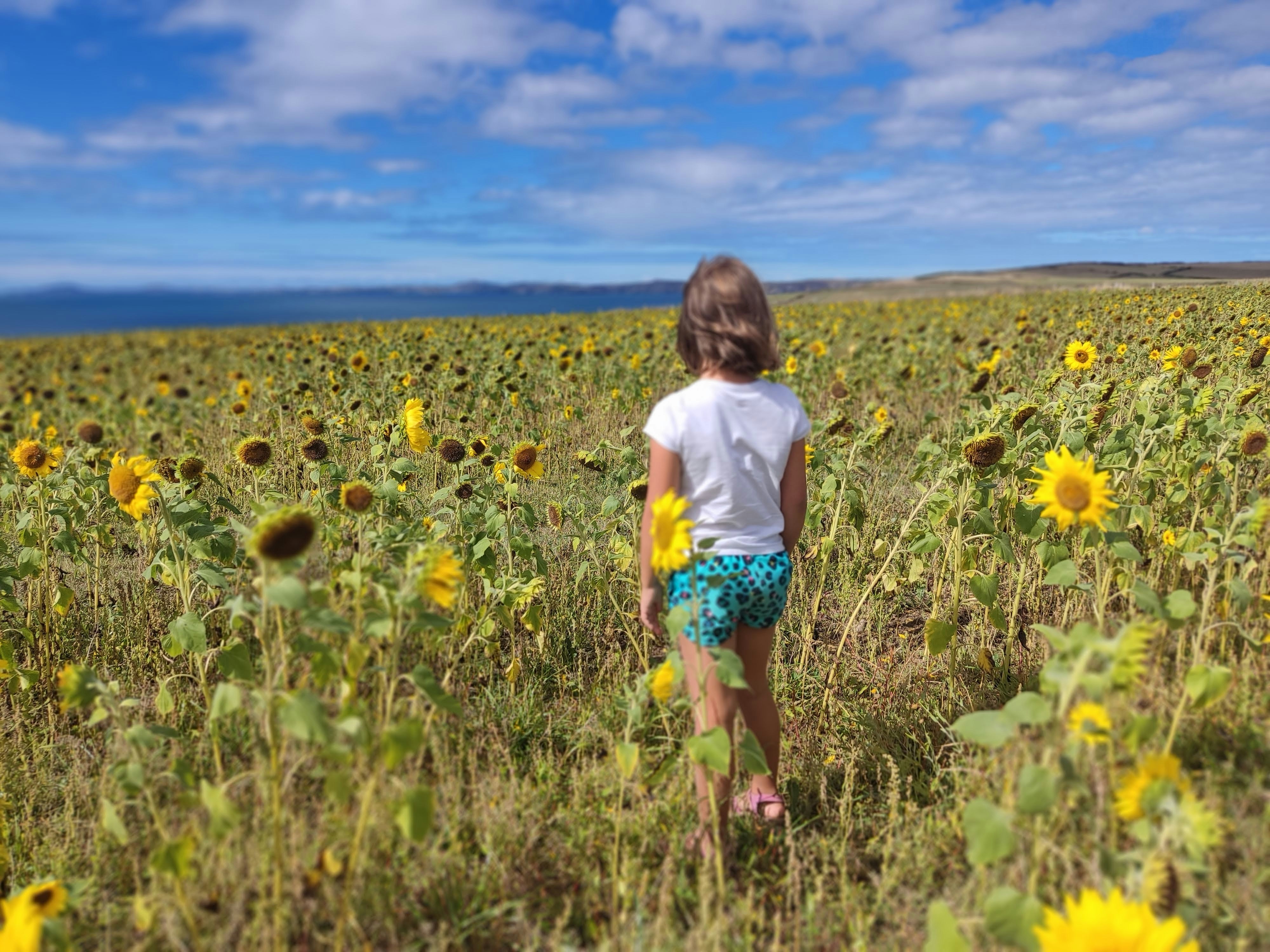 Dave Clubb (@davidoclubb) | Communauté photos Unsplash