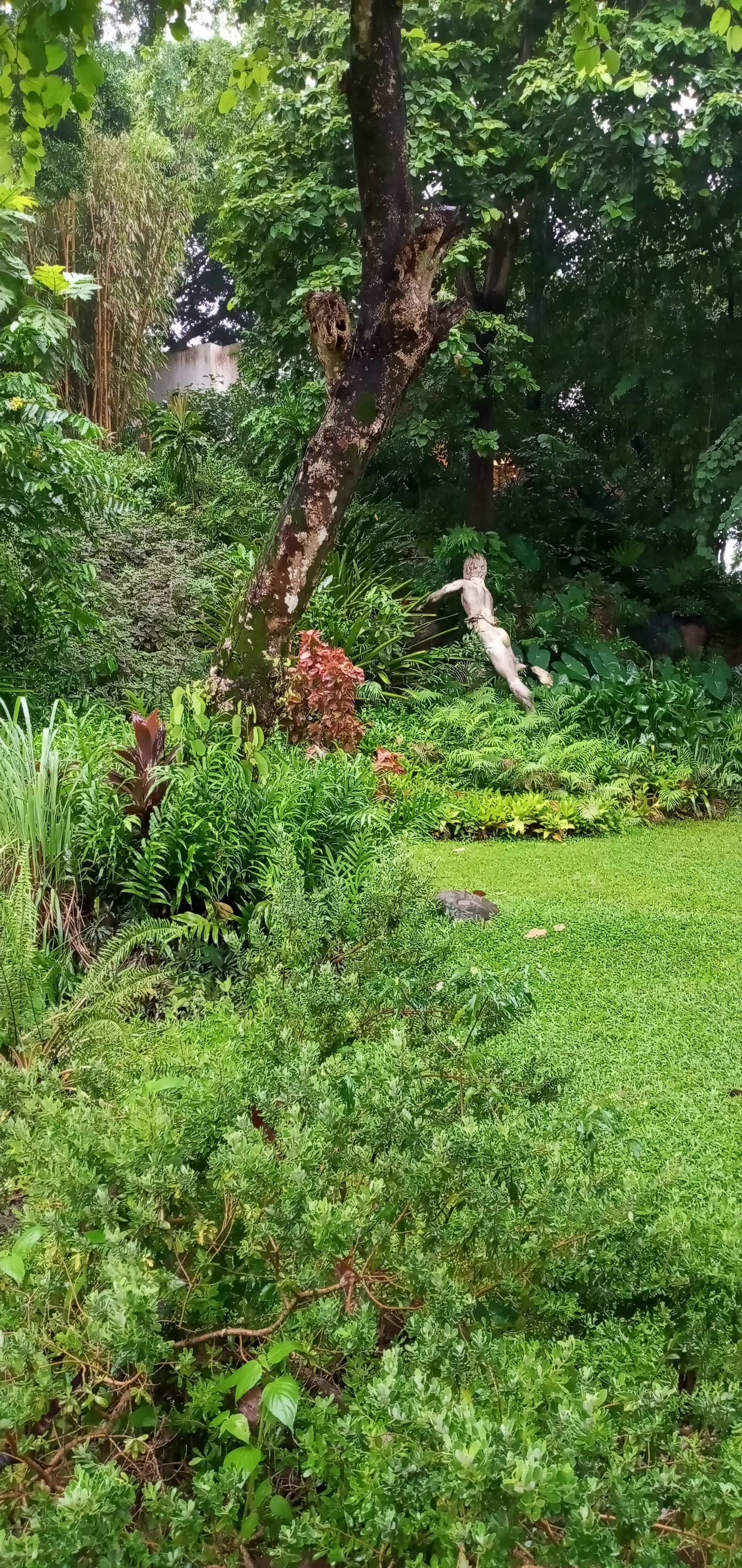 A serene garden scene featuring a wooden sculpture amidst lush greenery and vibrant plants, evoking tranquility and artistry.