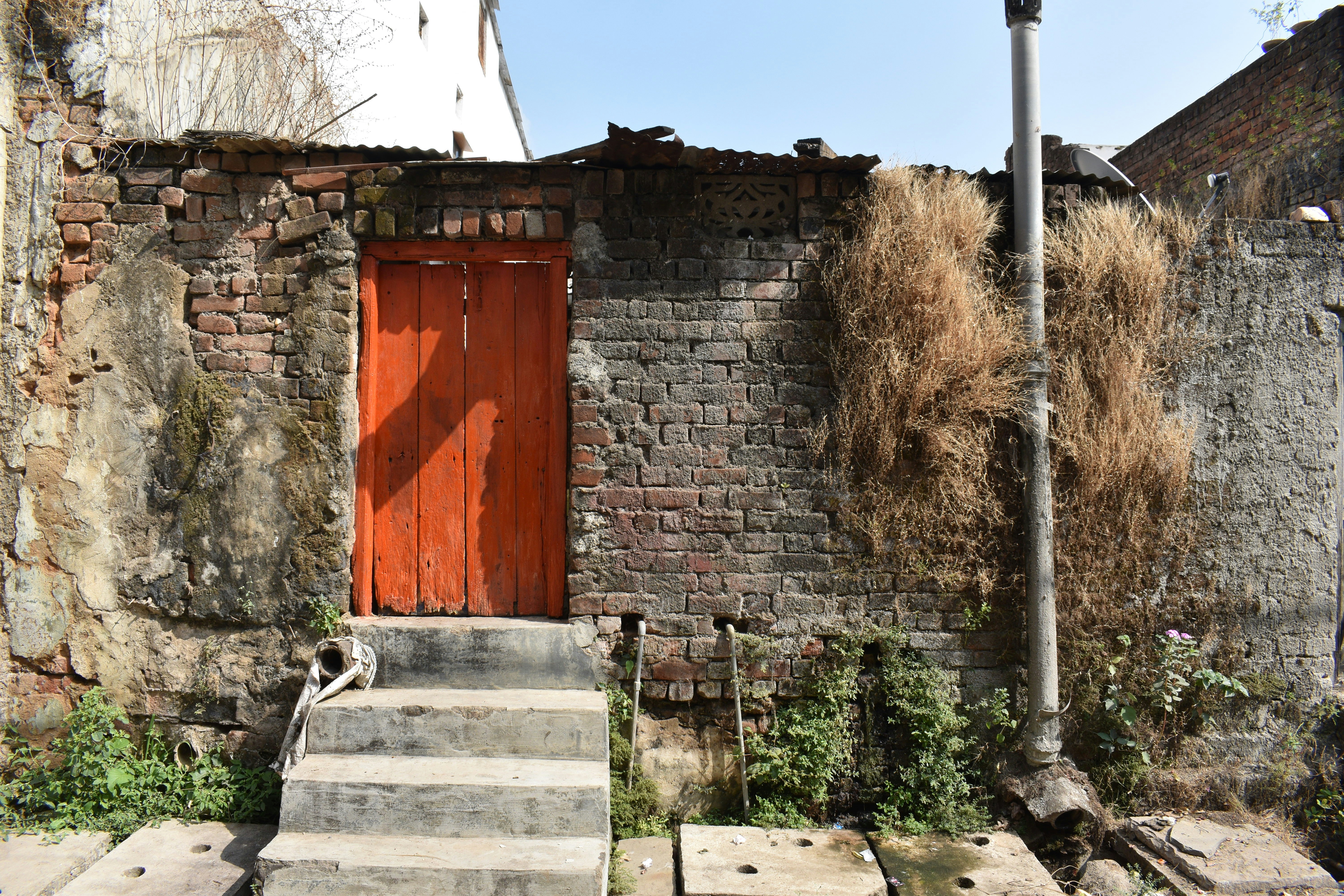 Photo by Shepal Bhansali with Nikon D5600