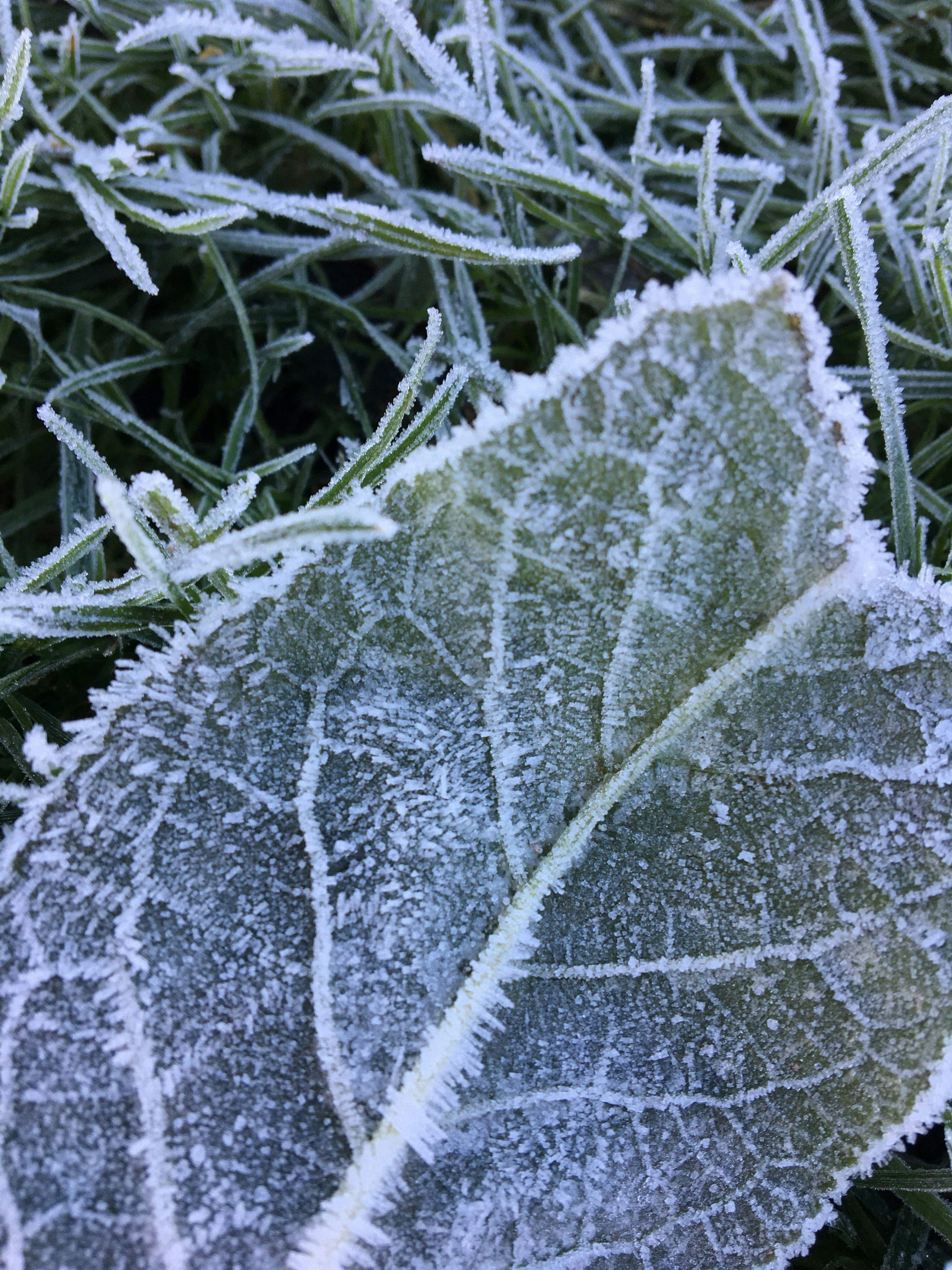 Gros plan d’un cours d’eau gelé photo – Photo Gel Gratuite sur Unsplash
