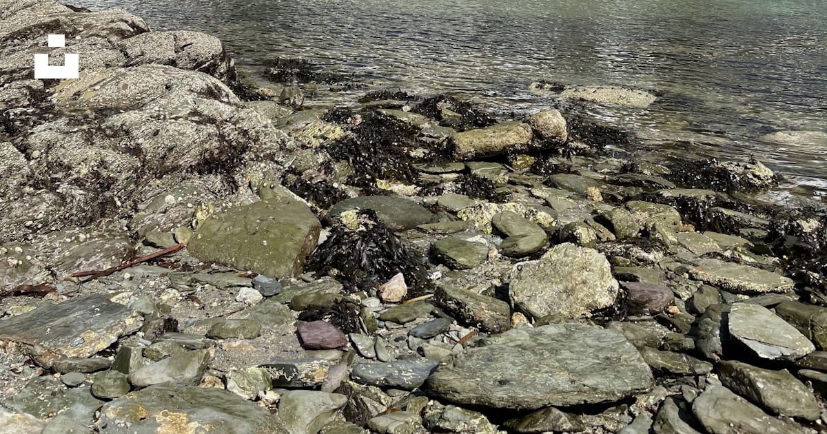 建物や木々のある岩だらけの海岸の写真 Unsplashの浜の無料画像