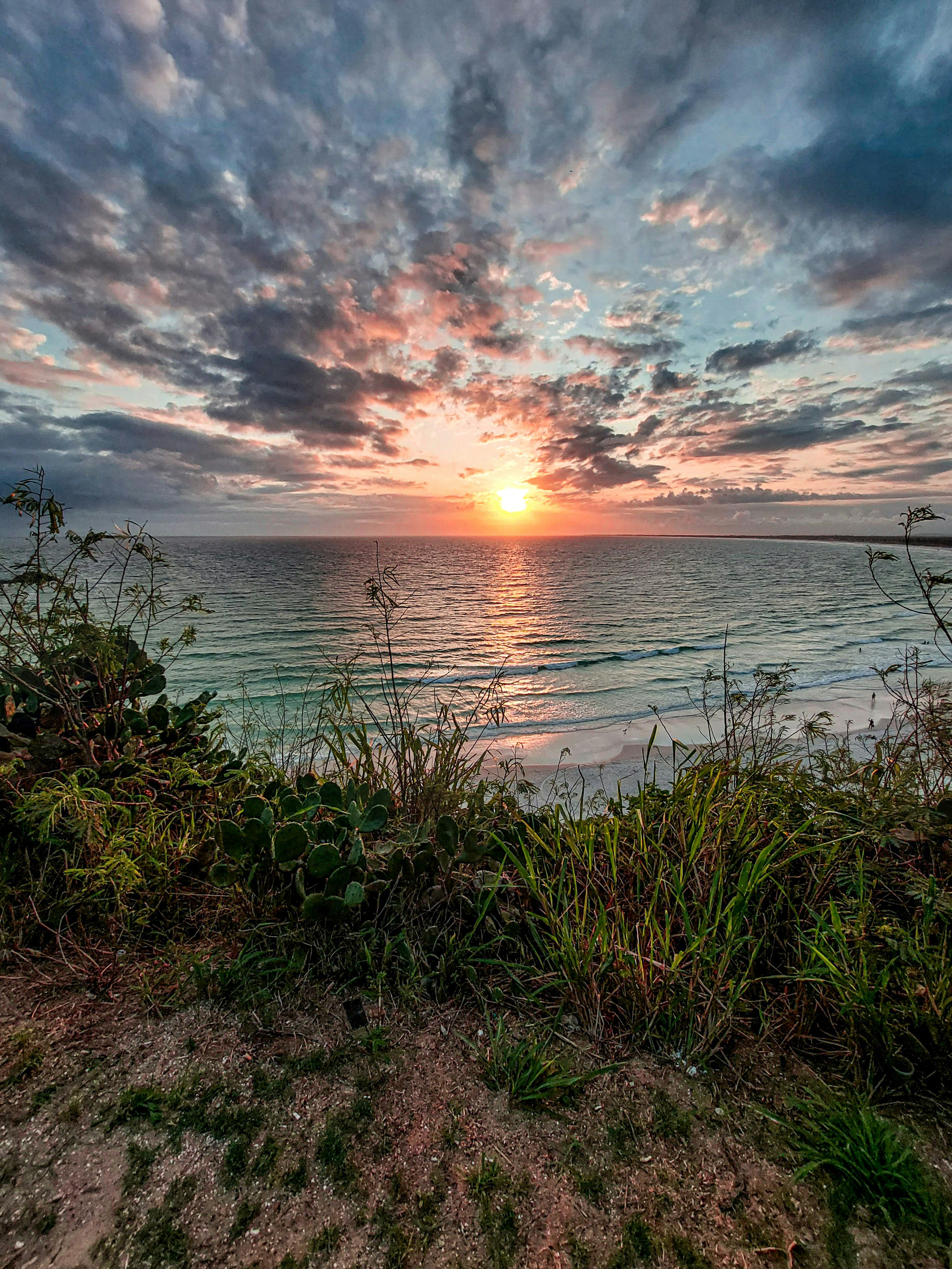 Sample photo from Samsung Galaxy M52