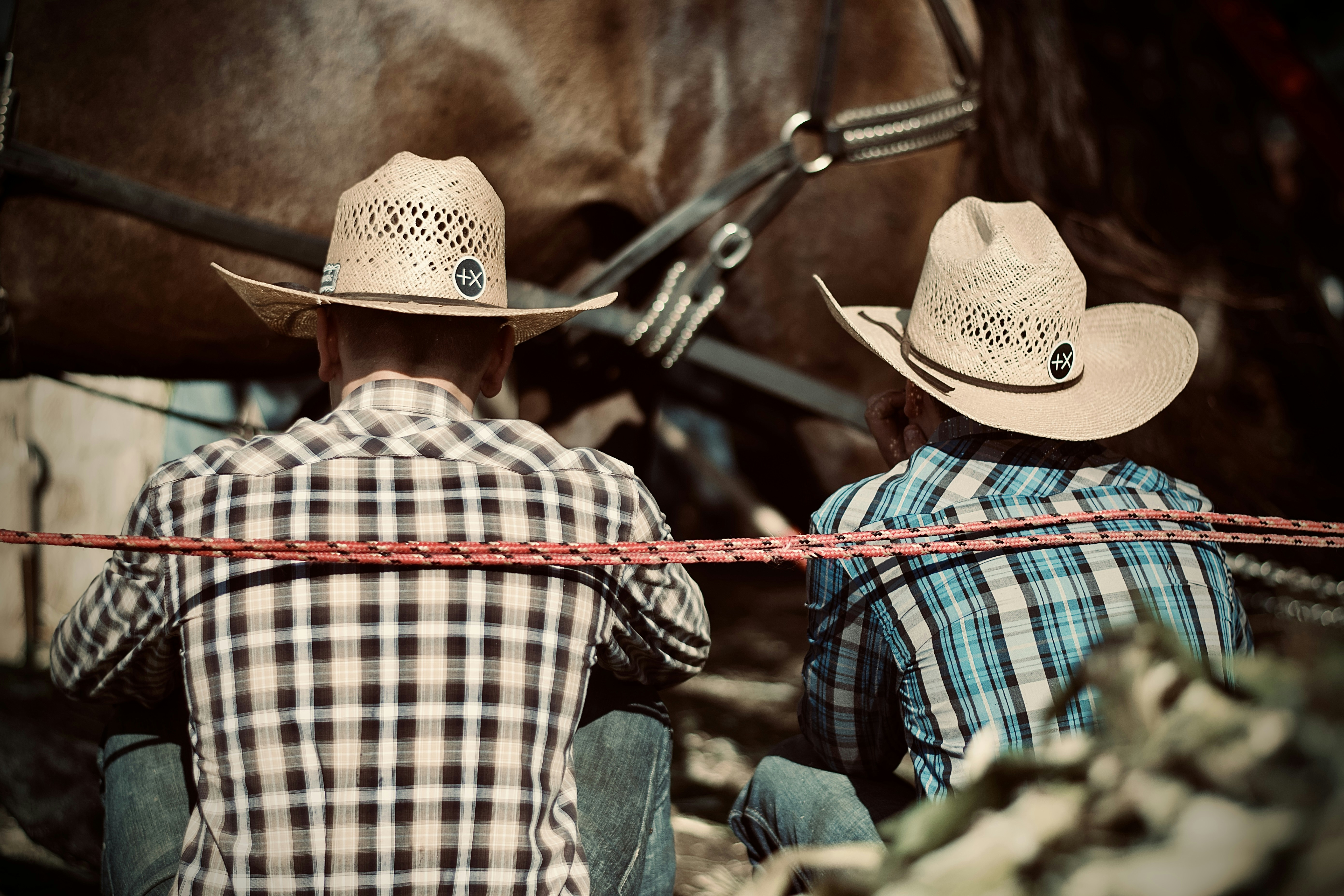 Two men in plaid shirts and cowboy hats sit near a horse, viewed from behind.