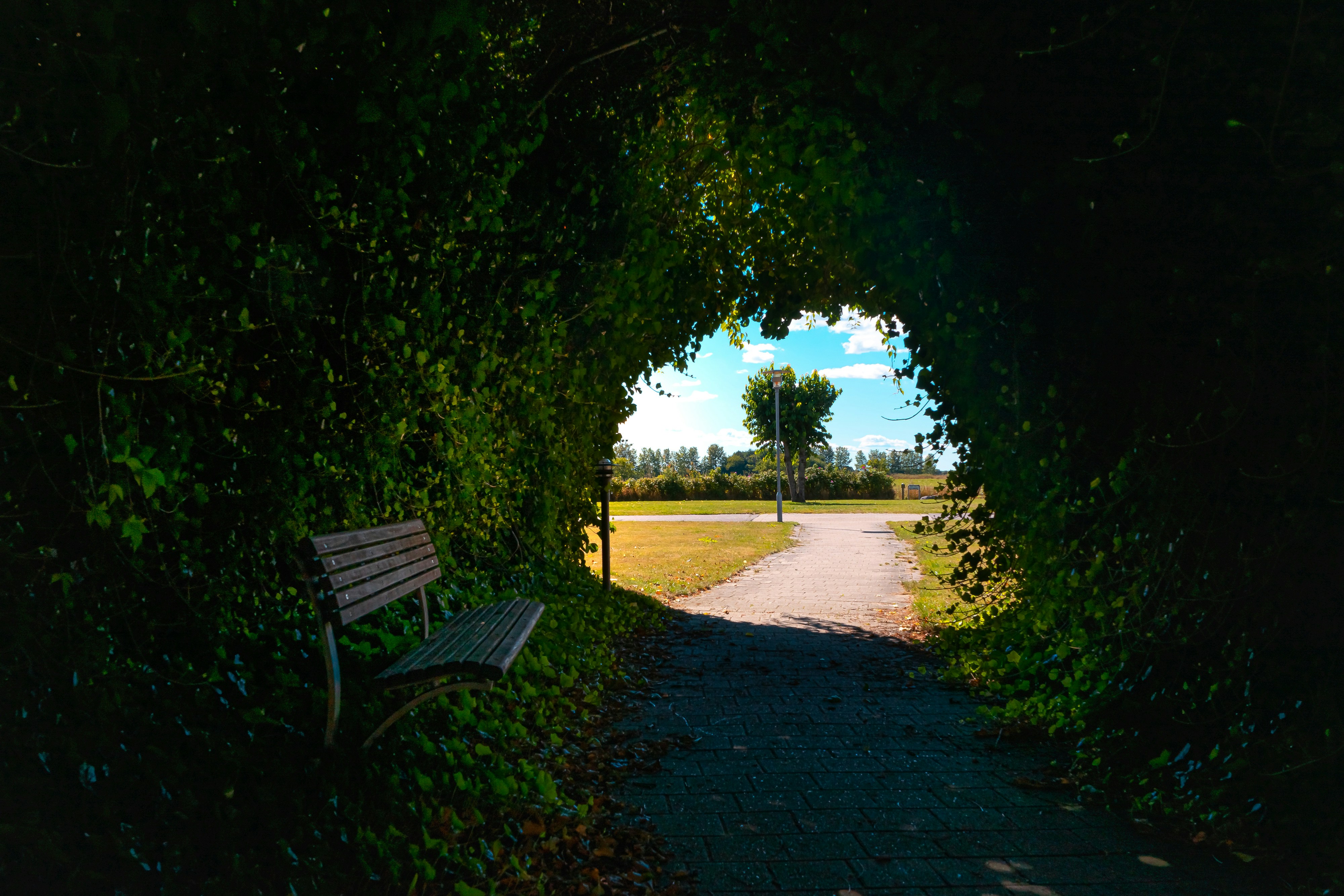 benches in a park