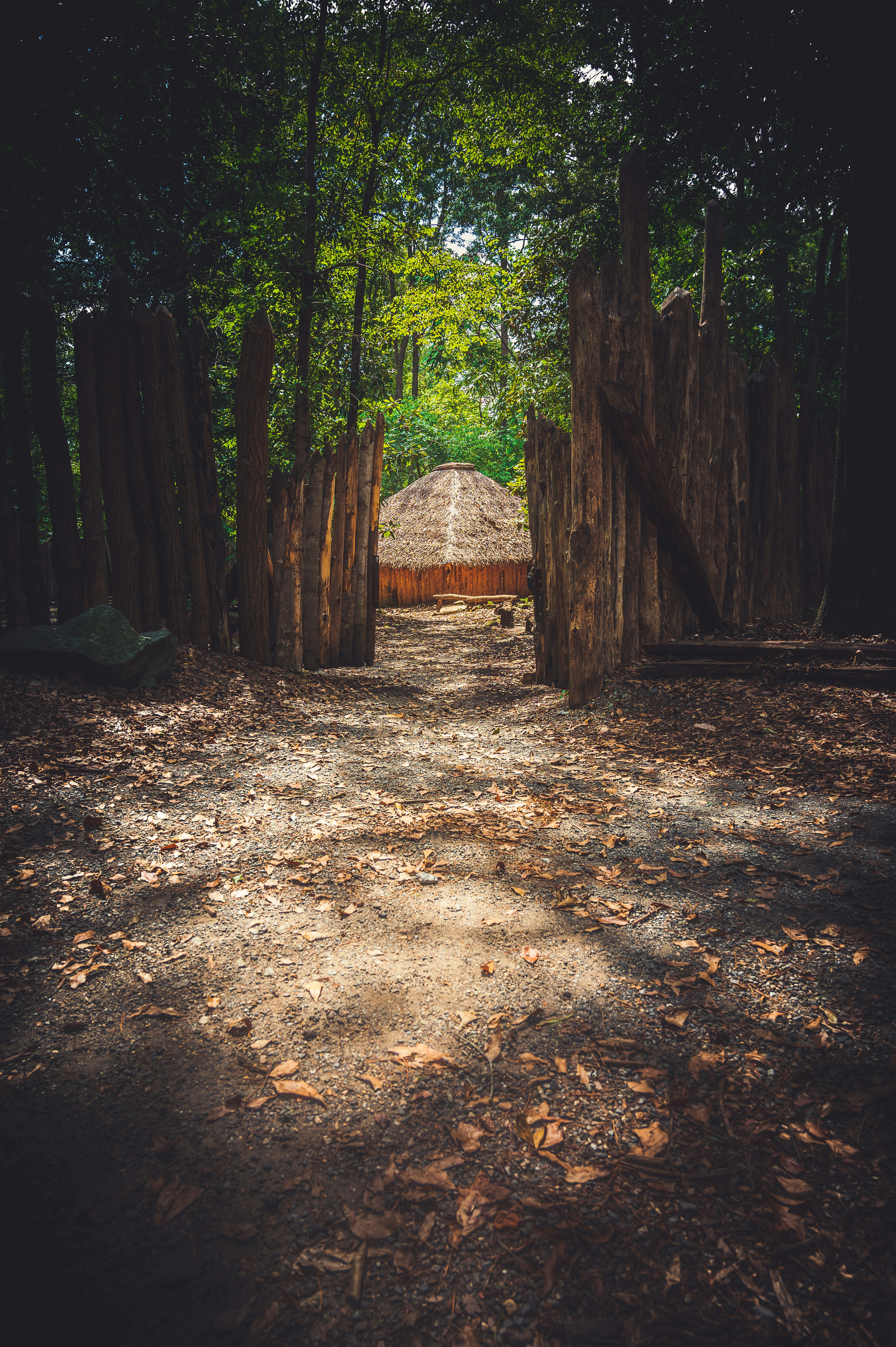 Un chemin avec une cabane sur le côté et des arbres sur le côté photo ...