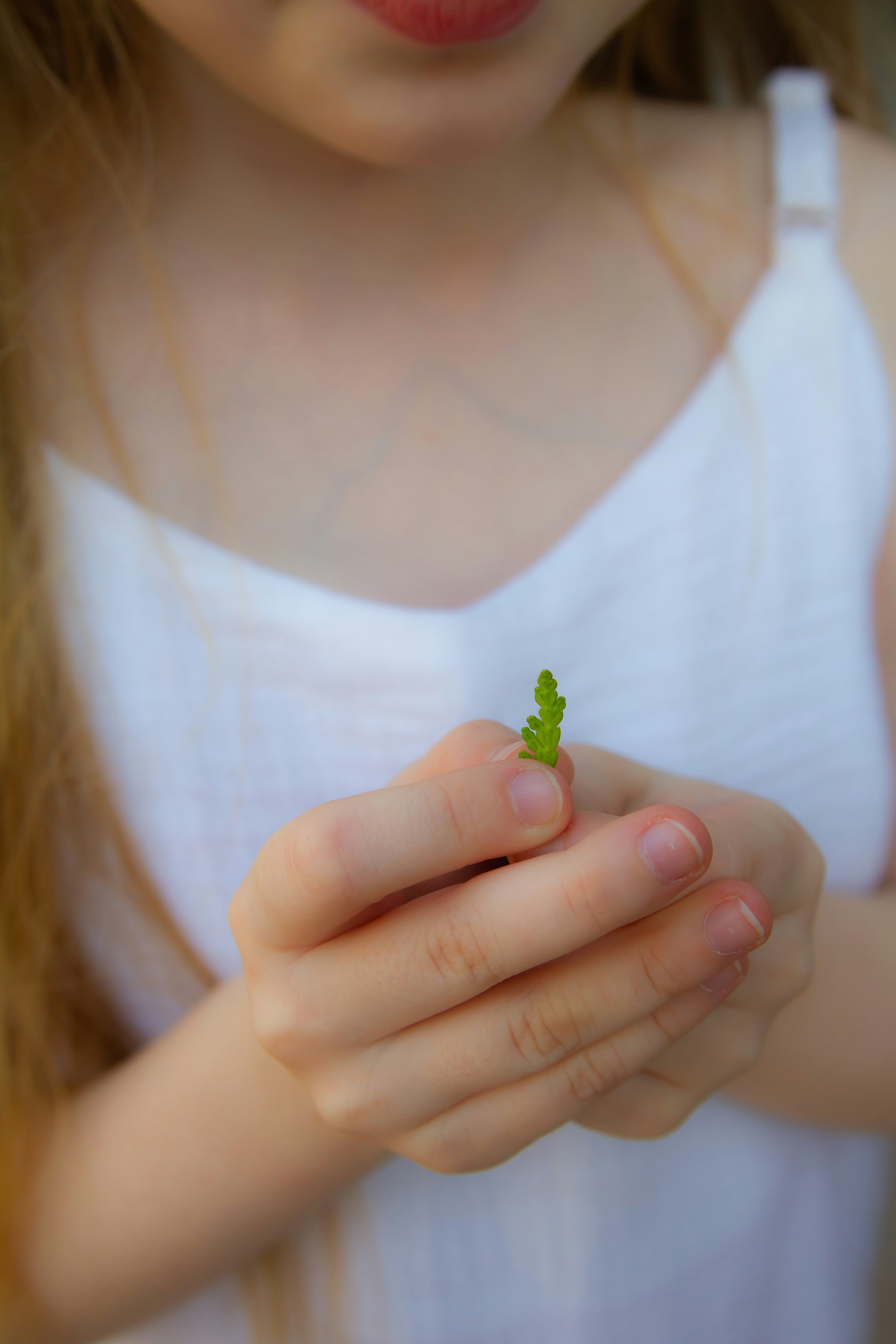 Tiny fern, gentle hands: a hopeful moment in a white summer dress