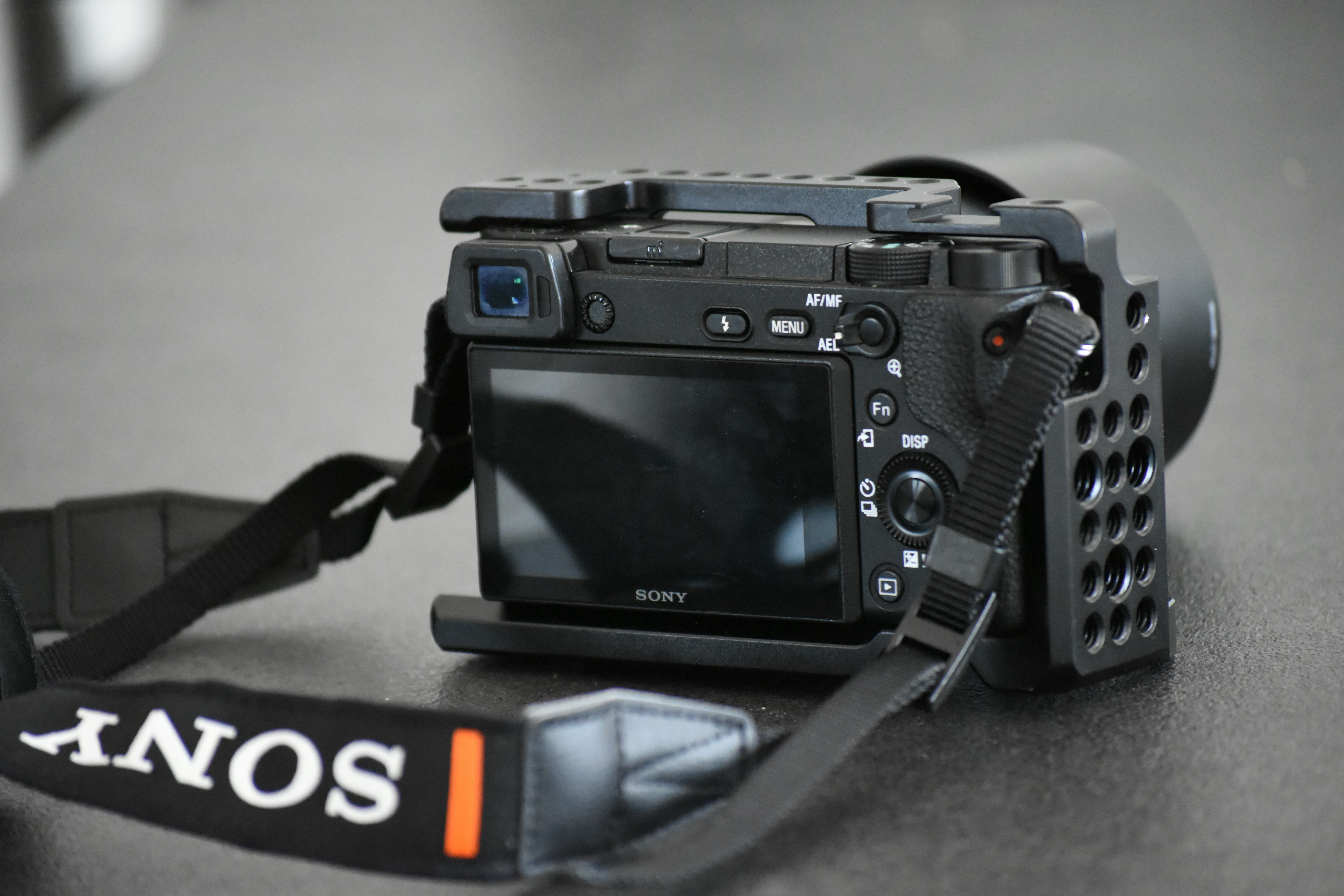 Rigged in Focus: Sony Mirrorless on a Perforated Cage