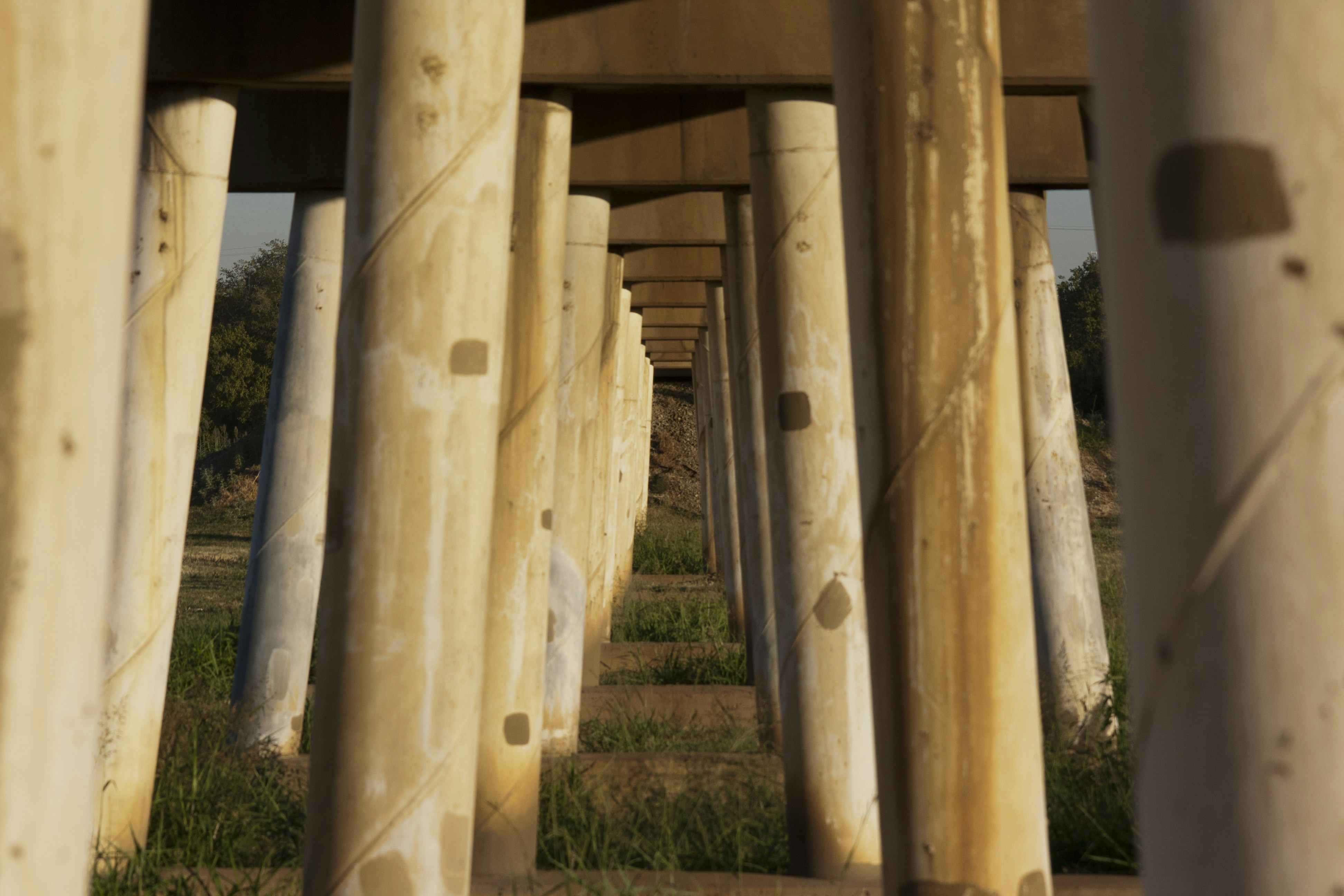 Wooden support columns of a railroad trestle bridge create a rhythmic pattern in warm sunlight.