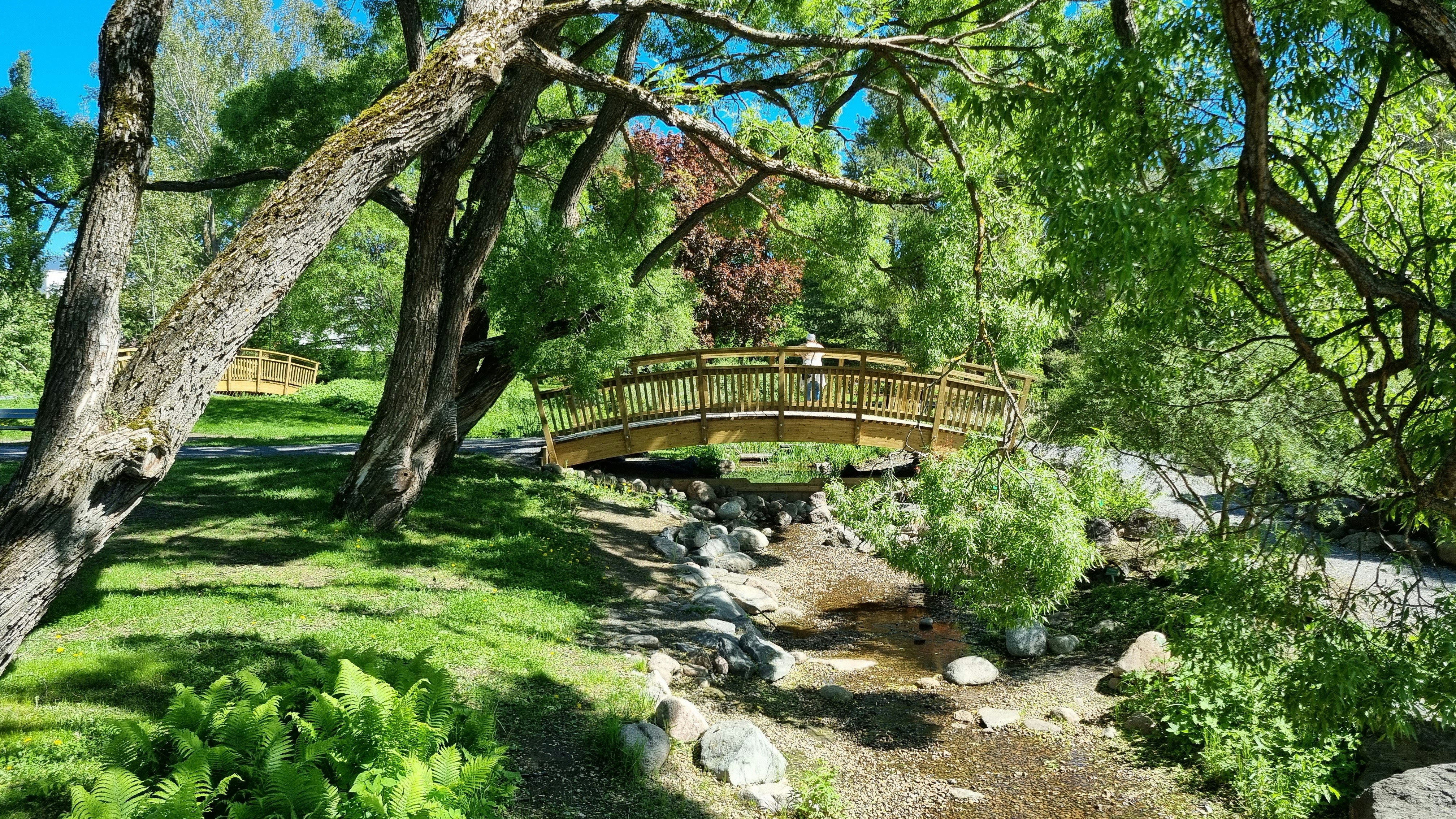 Photo by Martin L. with Samsung Galaxy S21