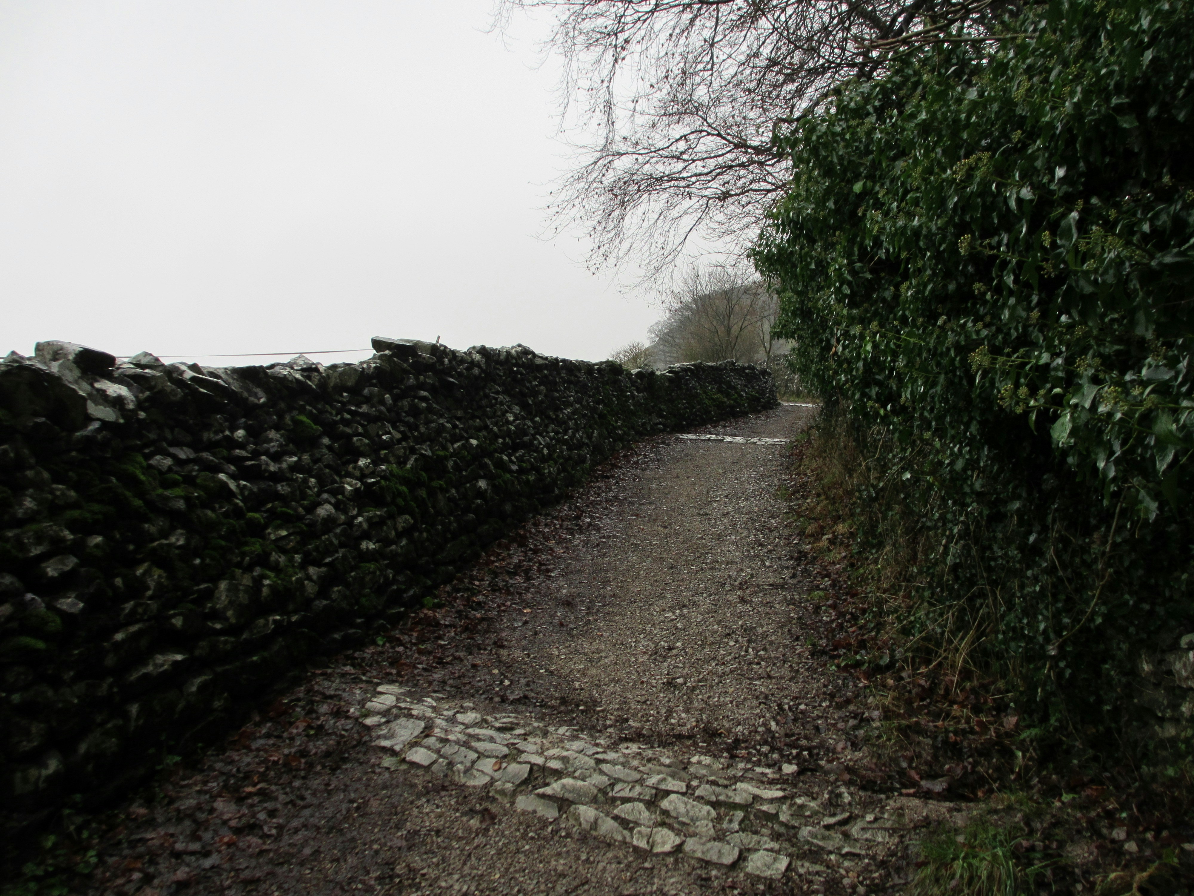 A winding gravel path bordered by weathered stone walls, flanked by lush greenery on one side. The scene evokes a sense of tranquility and history.