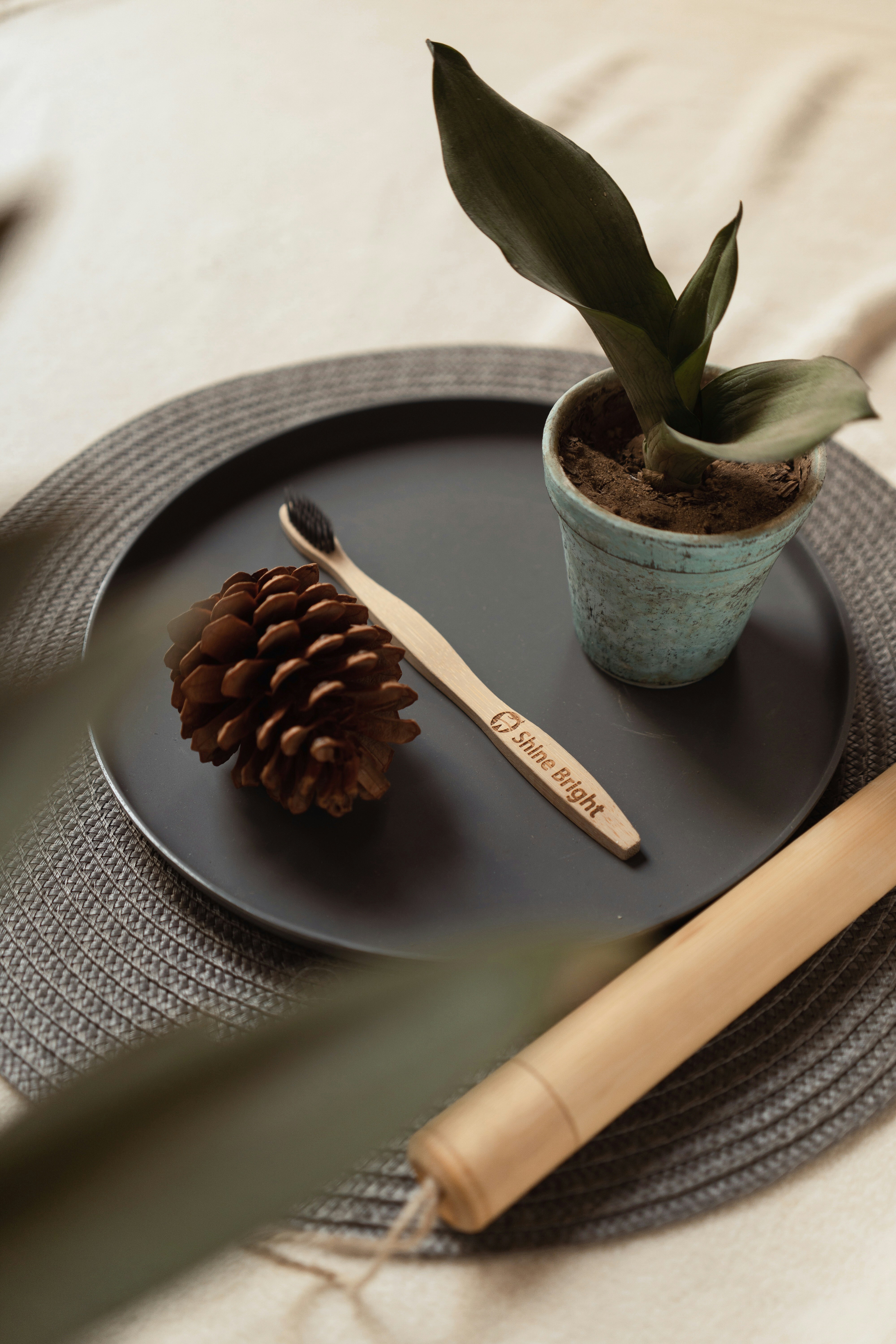 Une plante dans un pot à côté d’une plante en pot photo – Image ...