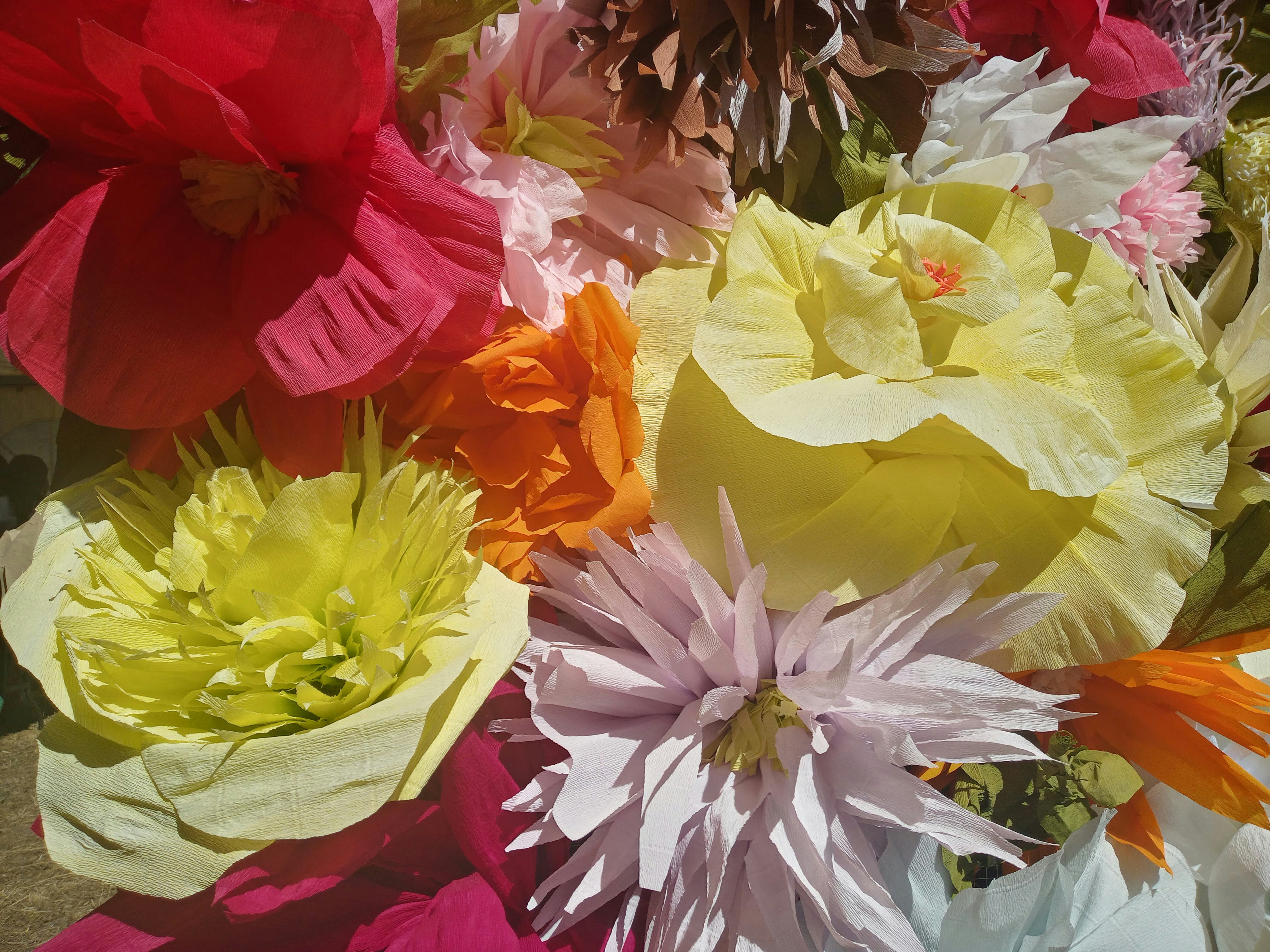 Kaleidoscope of Petals: Center Bloom