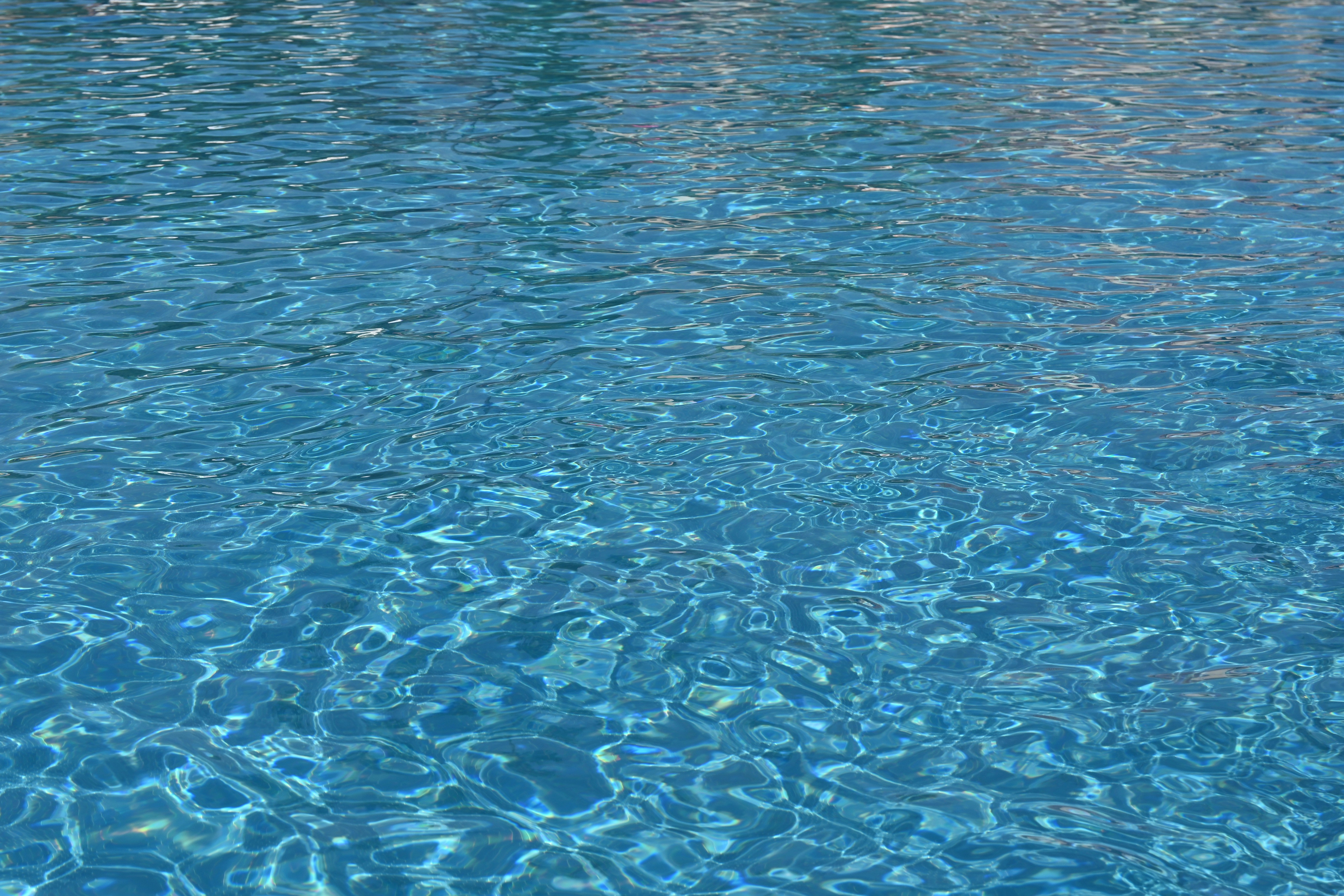 500+ Pool Water Pictures [HD] | Download Free Images on Unsplash