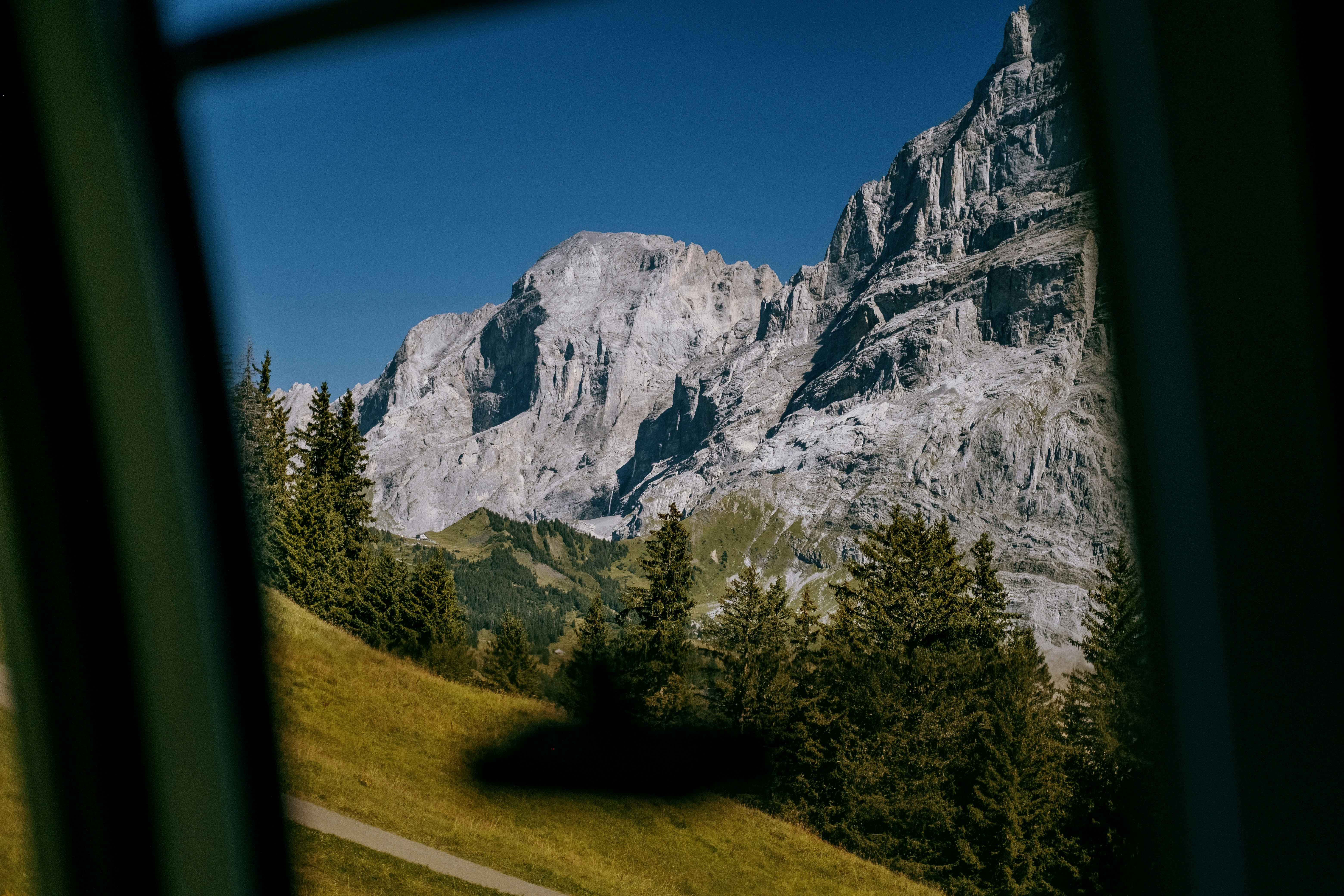 Connor Wang (@connorxwang) | Comunidad de fotos de Unsplash