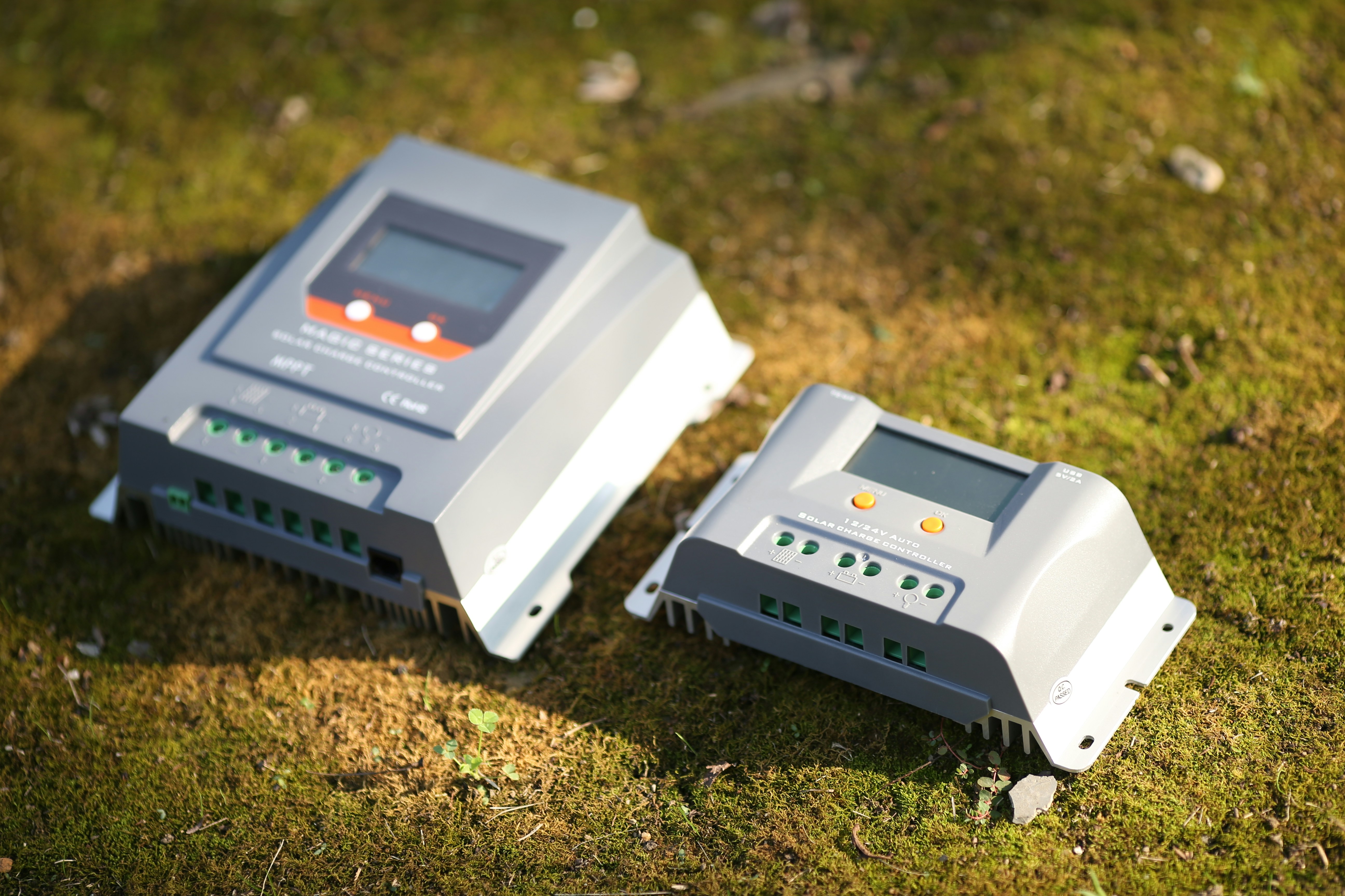 Photo by Newpowa with Canon EOS-1D X