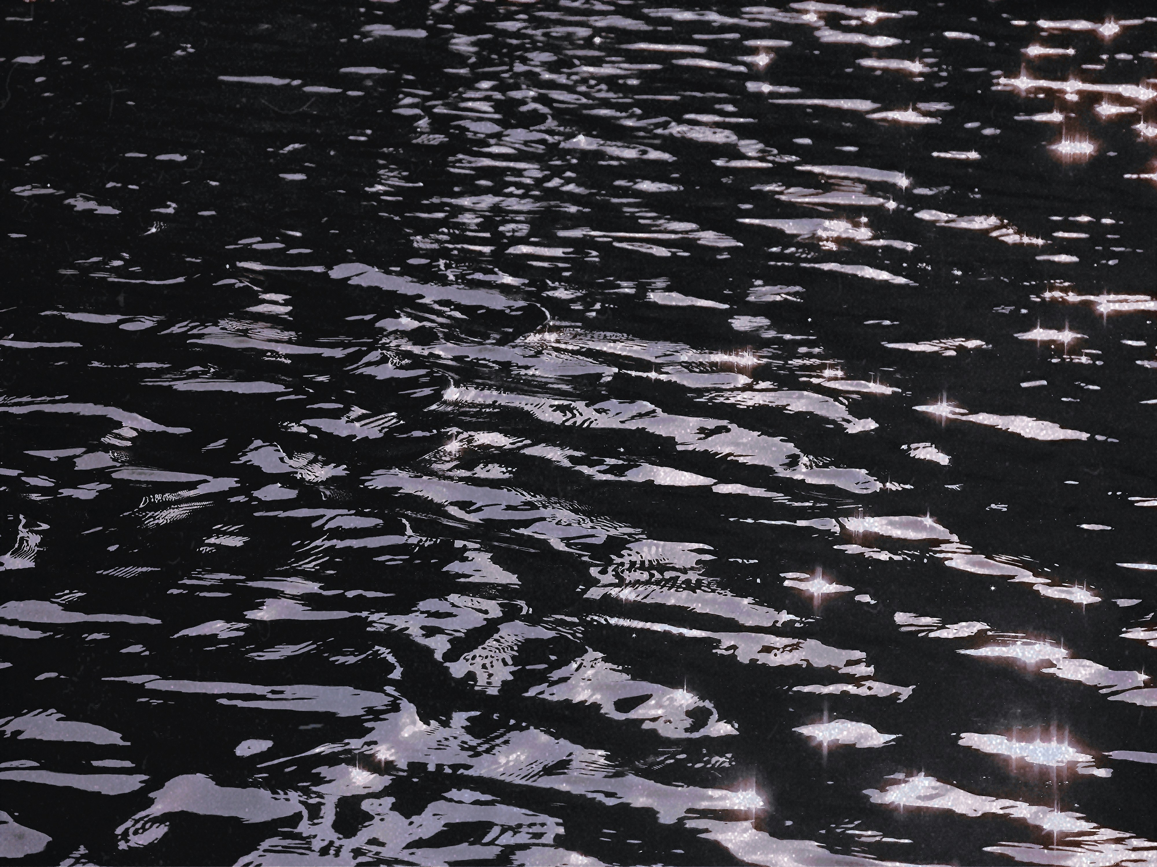 Sheldon Liu (@sheldonliu) | Unsplashフォトコミュニティ