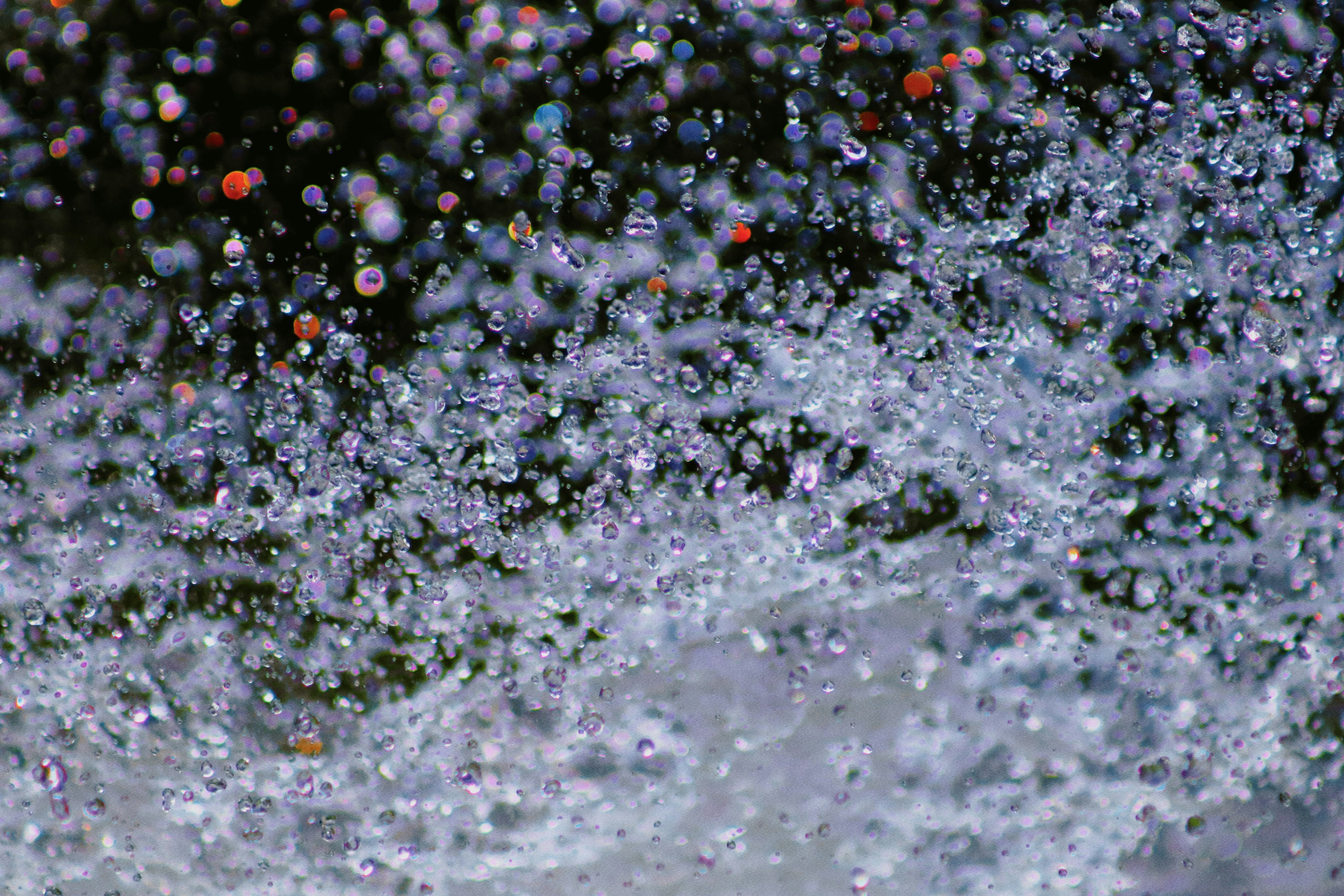 Sheldon Liu (@sheldonliu) | Unsplashフォトコミュニティ