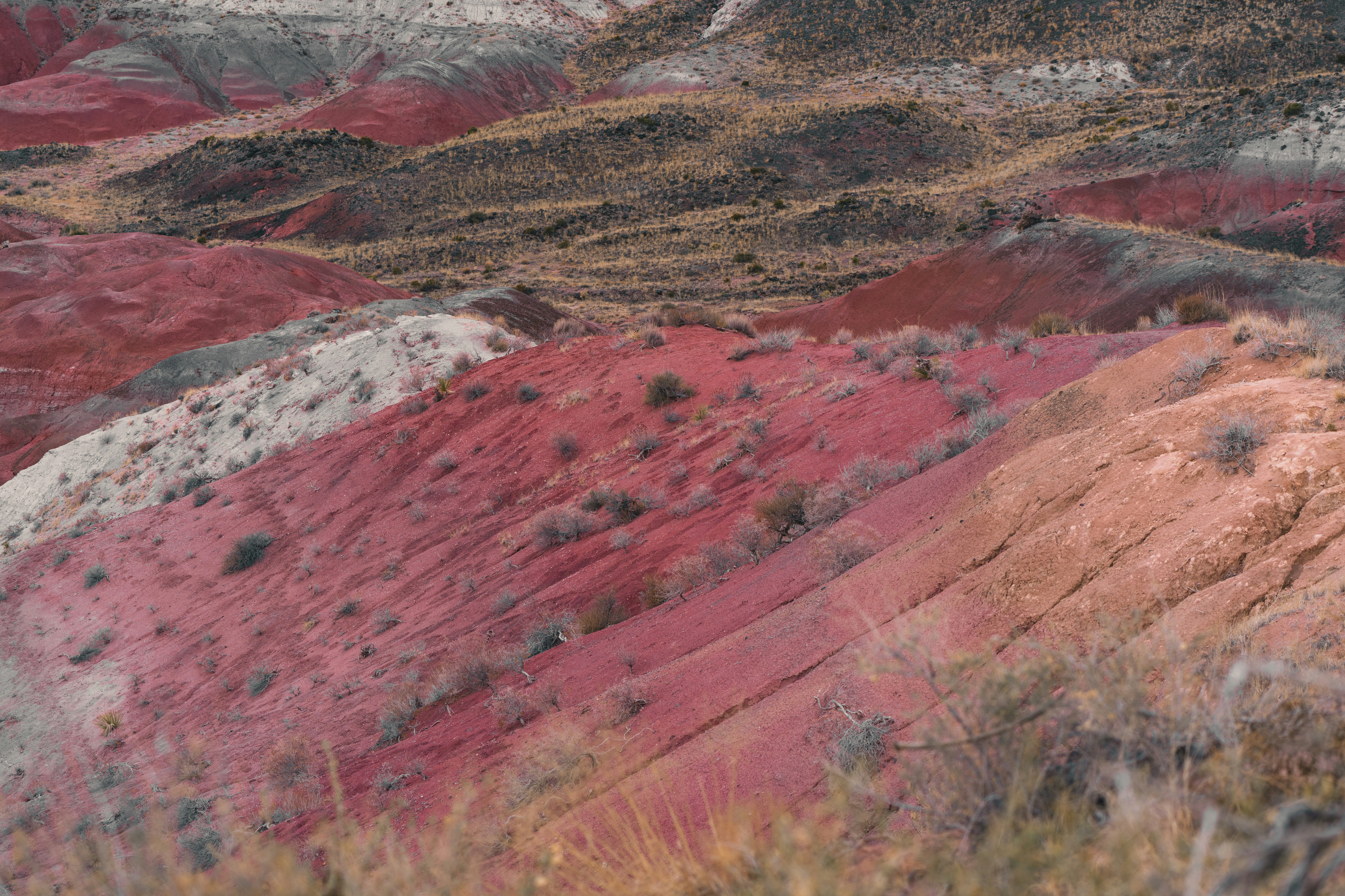 Une falaise de roche rouge photo – Photo Parc national de la forêt ...