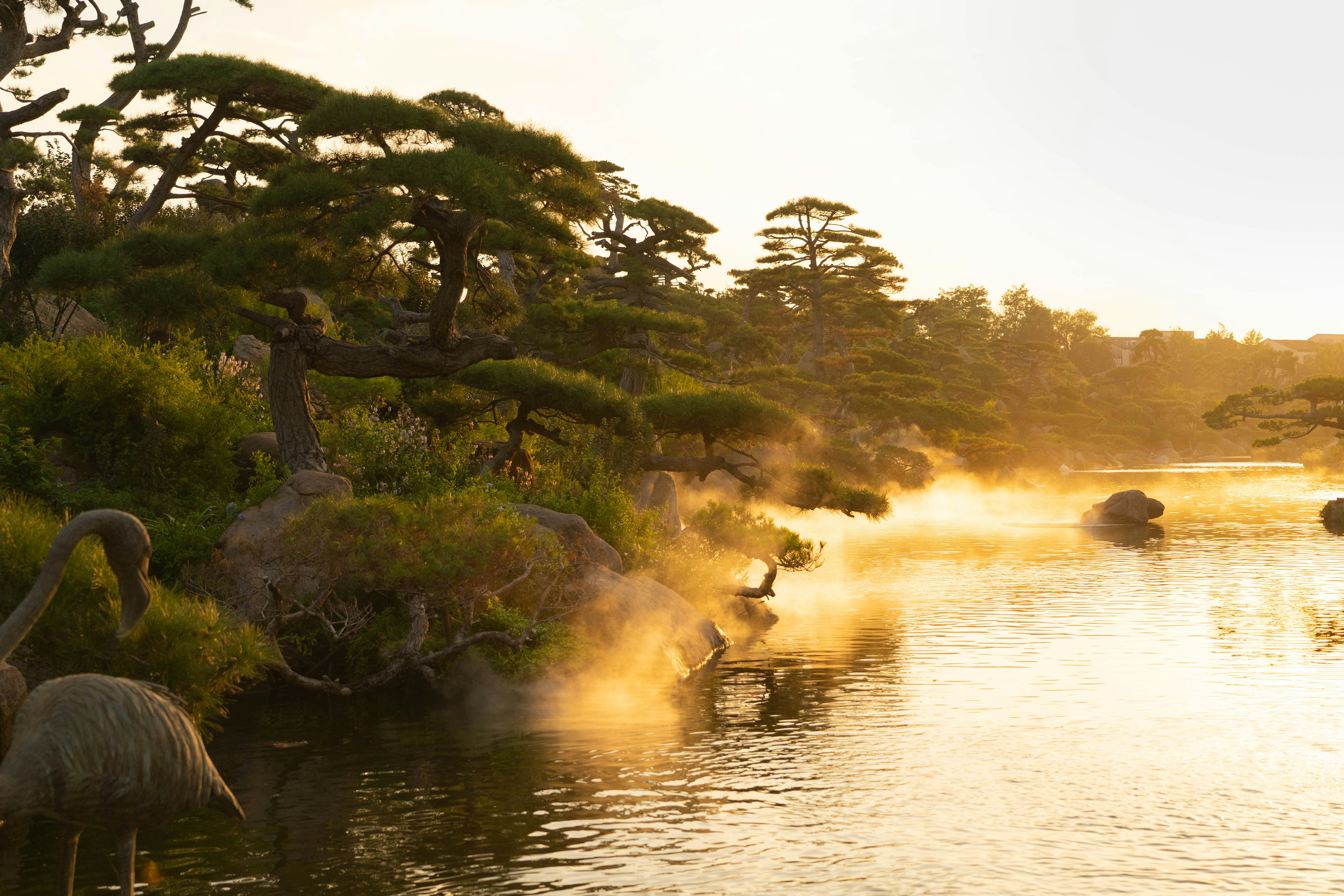 Golden Mist Over a Tranquil Garden Lake