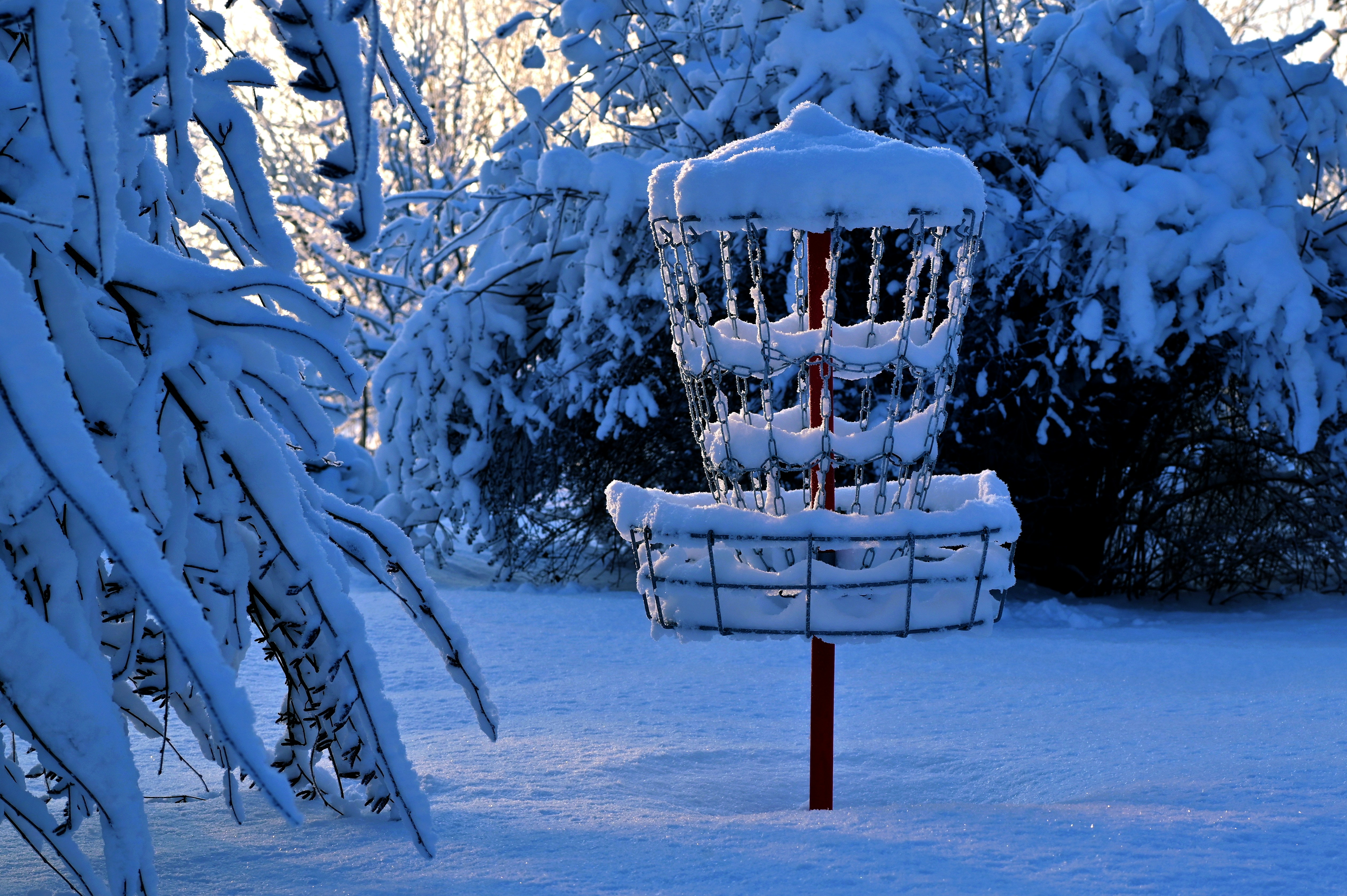 Snowbound Disc Golf Basket in a Quiet Blue Hour Clearing
