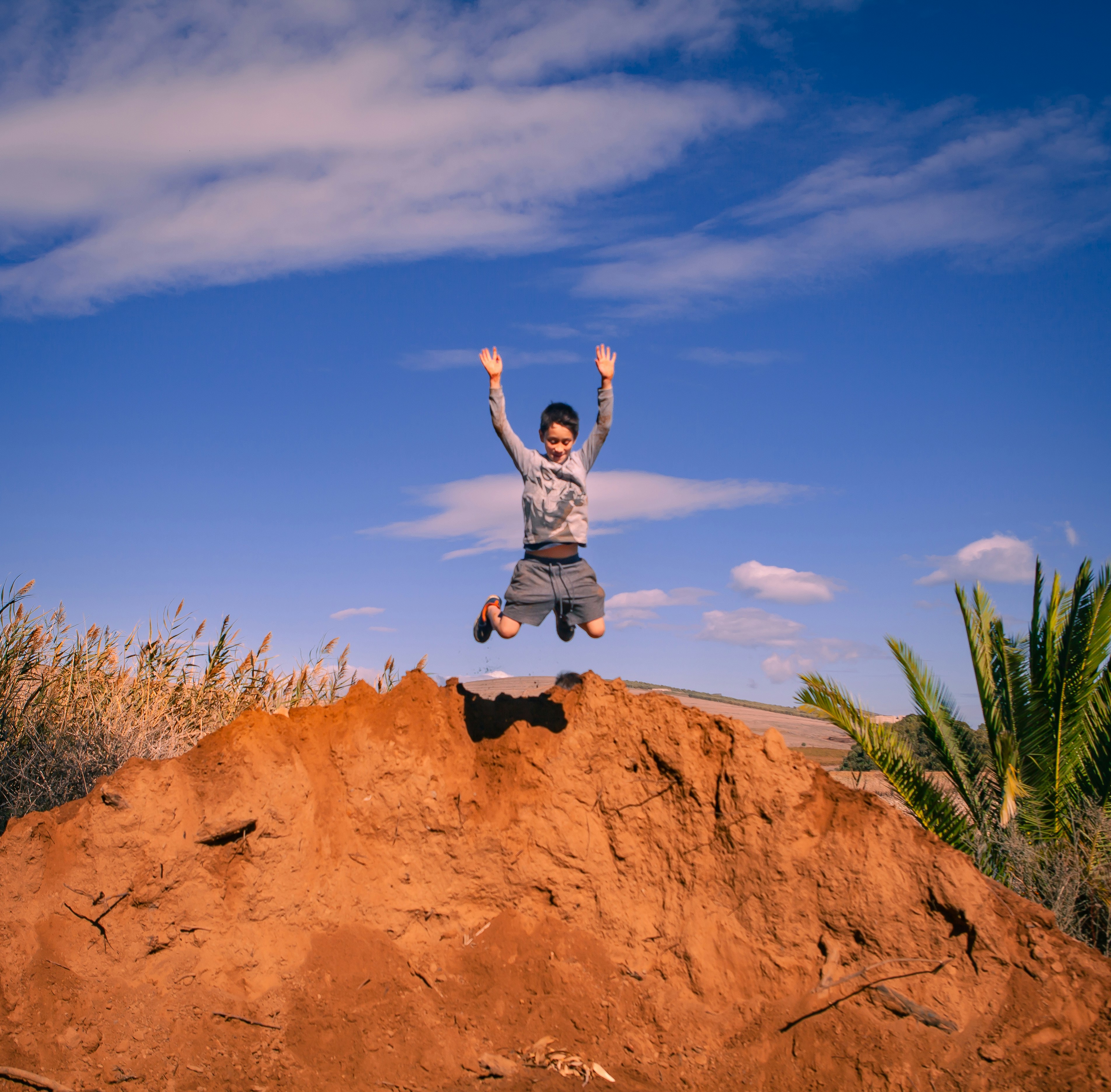 Photo by Jessica Hearn with Canon EOS 5D Mark II