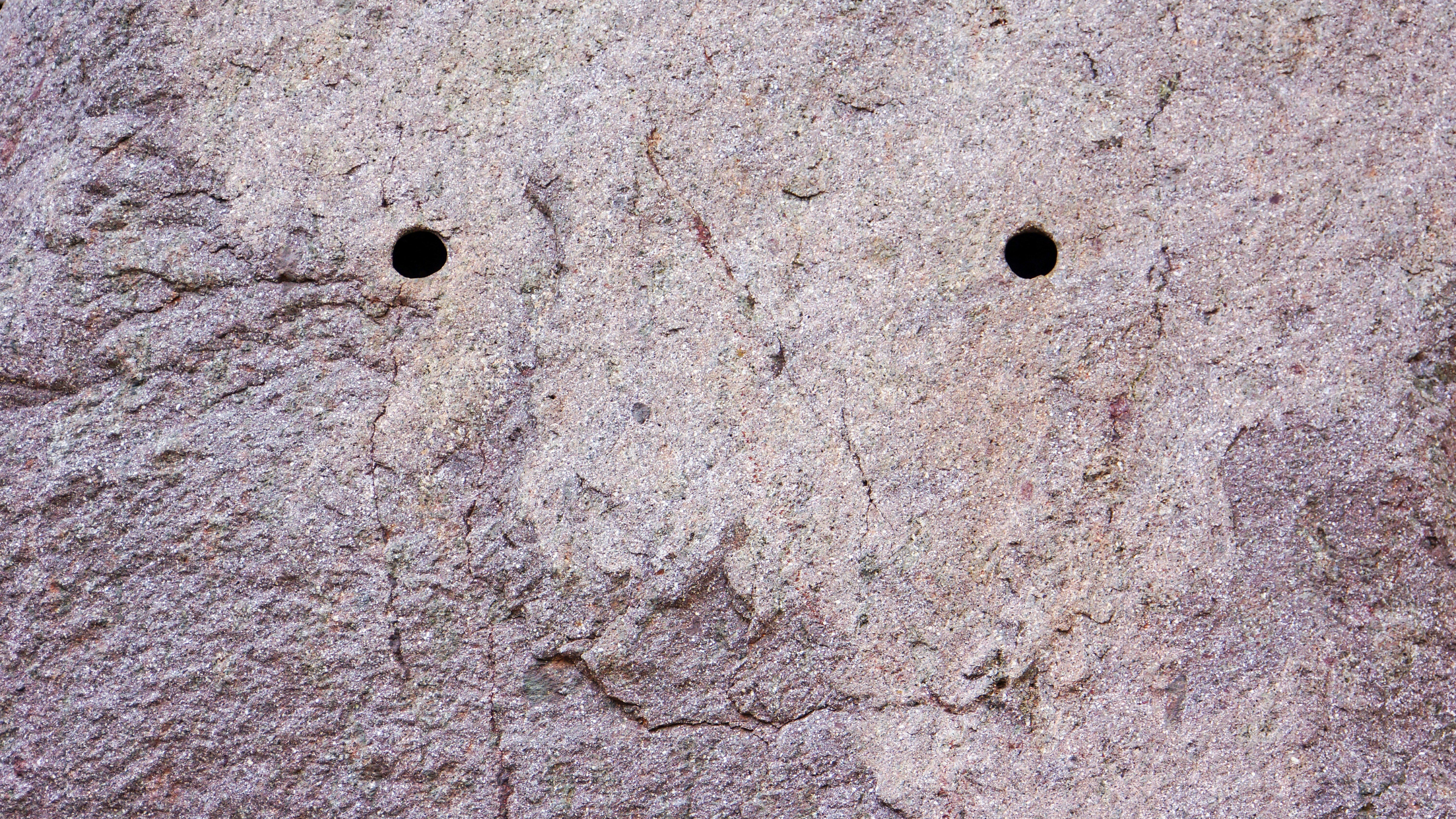 Urghbla Face Reveal Pictures | Download Free Images on Unsplash