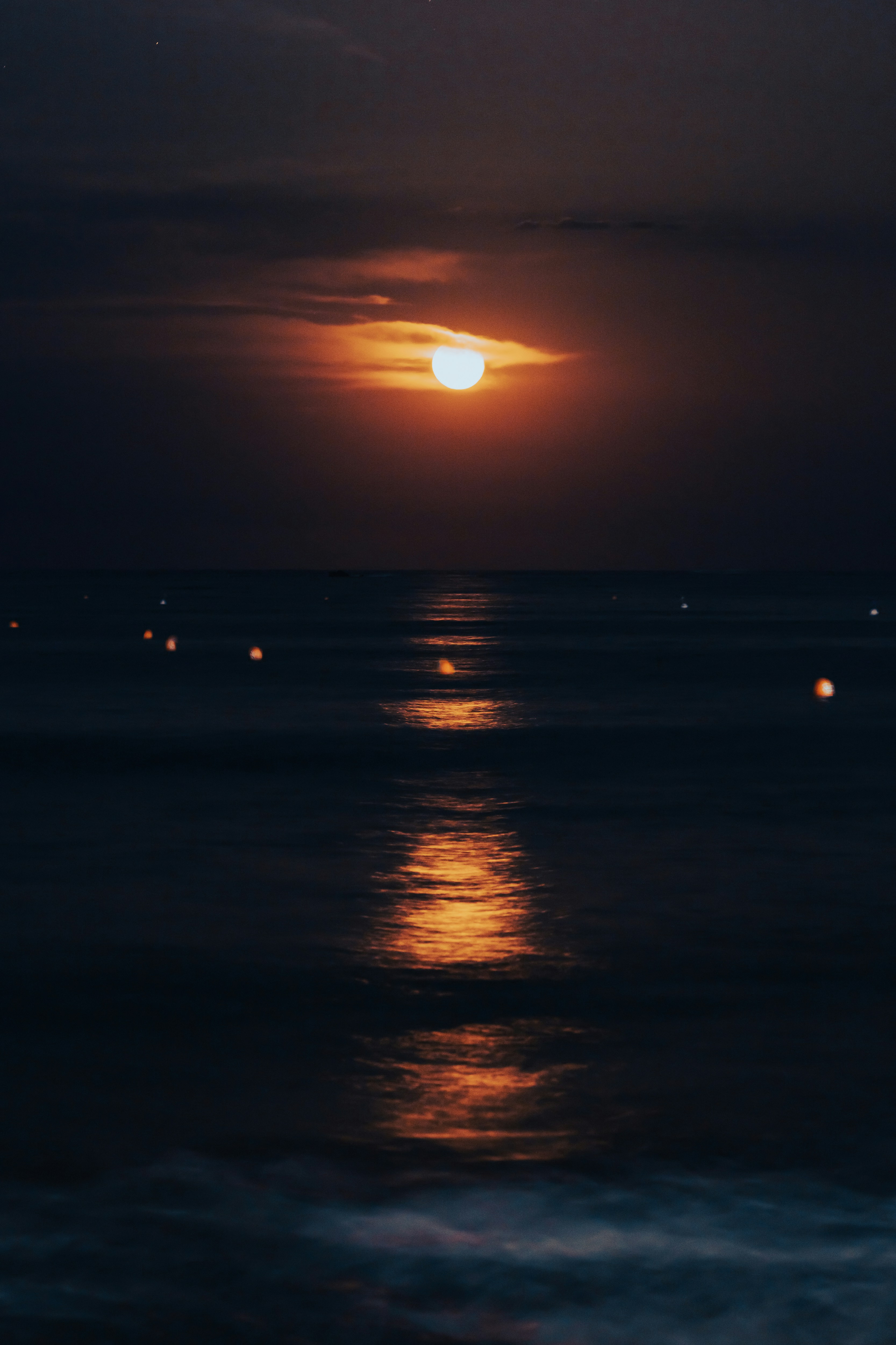 Poetry Backgrounds Pictures | Download Free Images on Unsplash