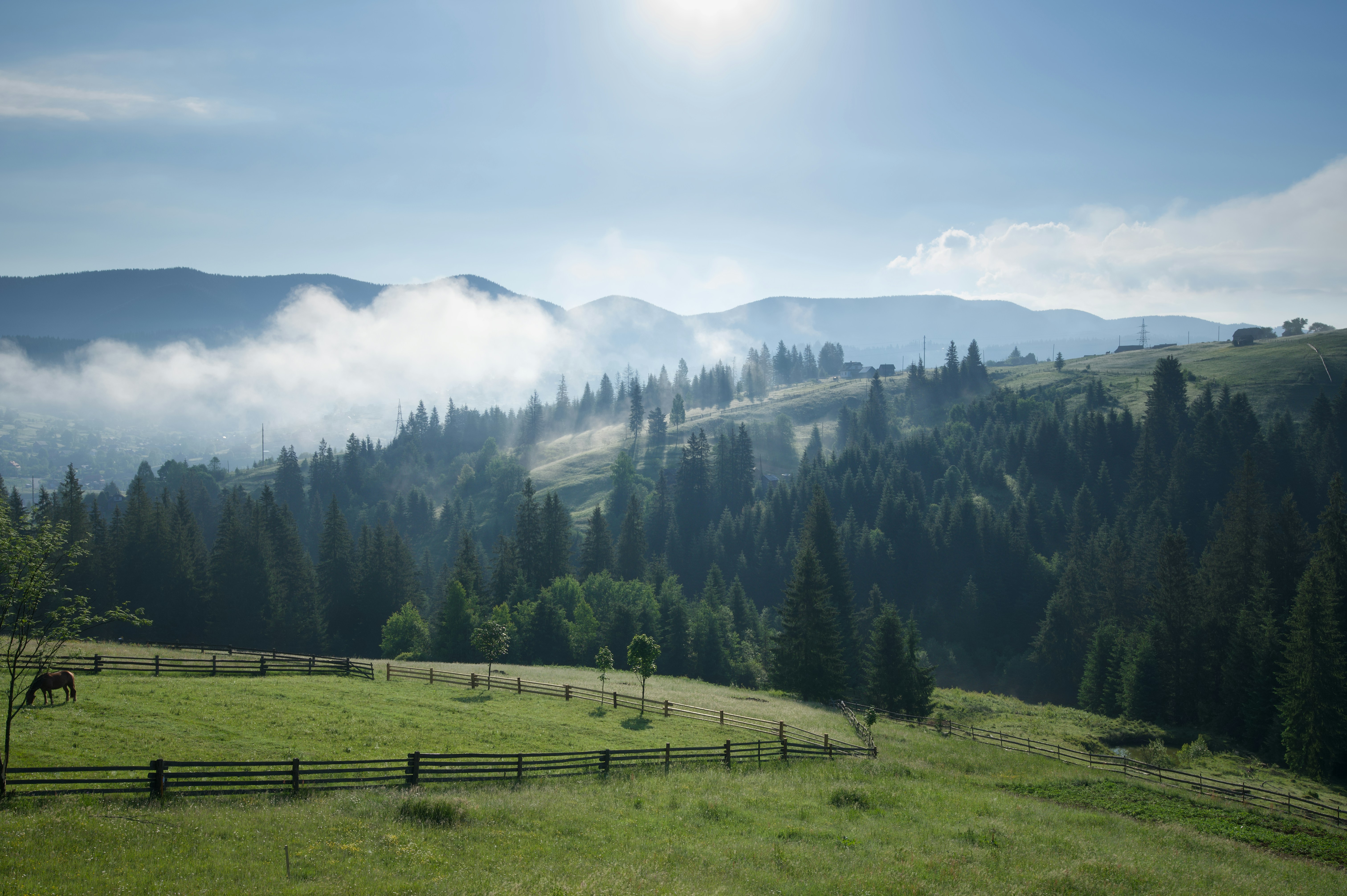 Foto zum Thema Eine Wiese mit Bäumen und Bergen im Hintergrund ...