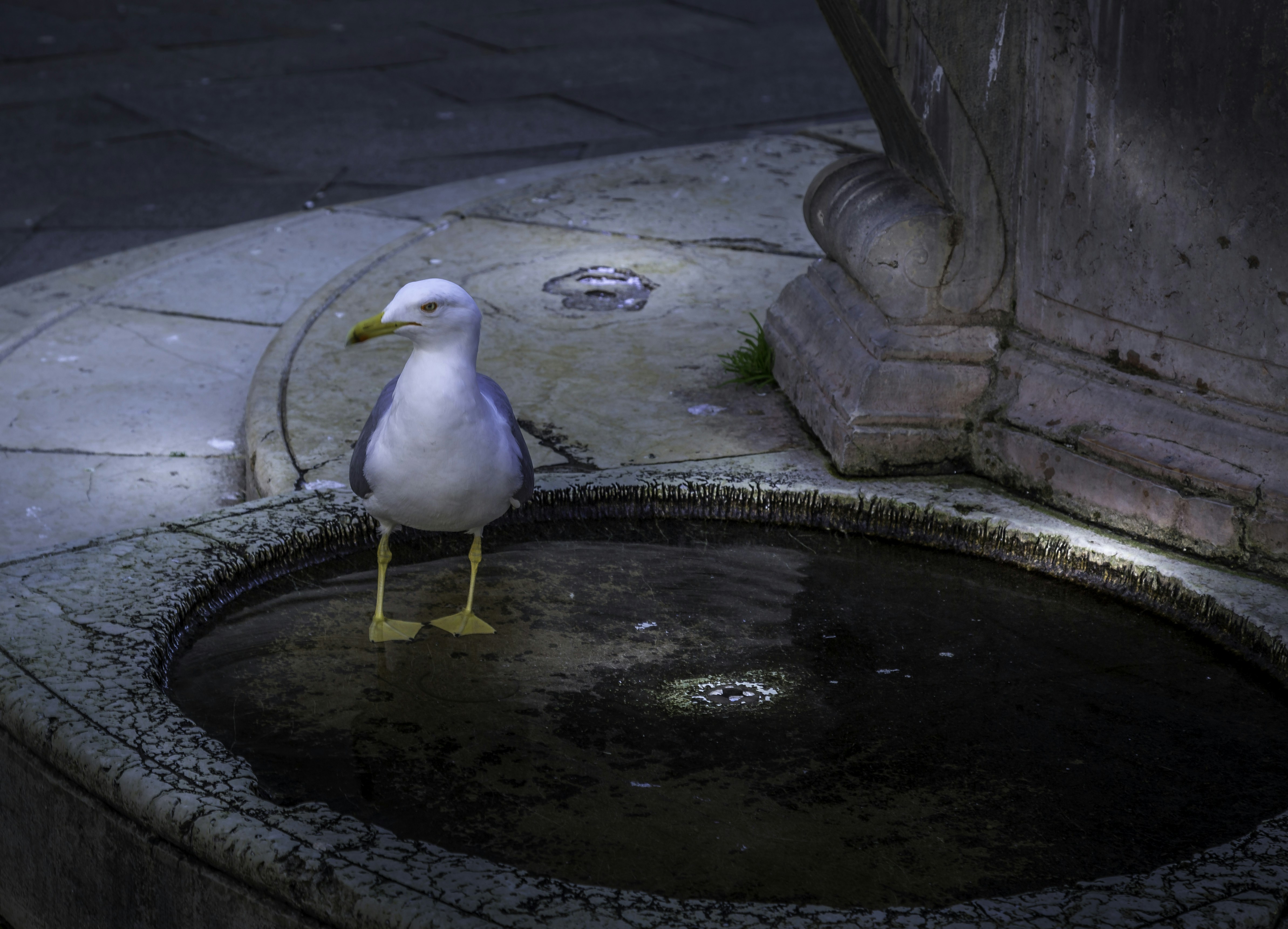 Photo by Kev Ford with Canon EOS 5D Mark III