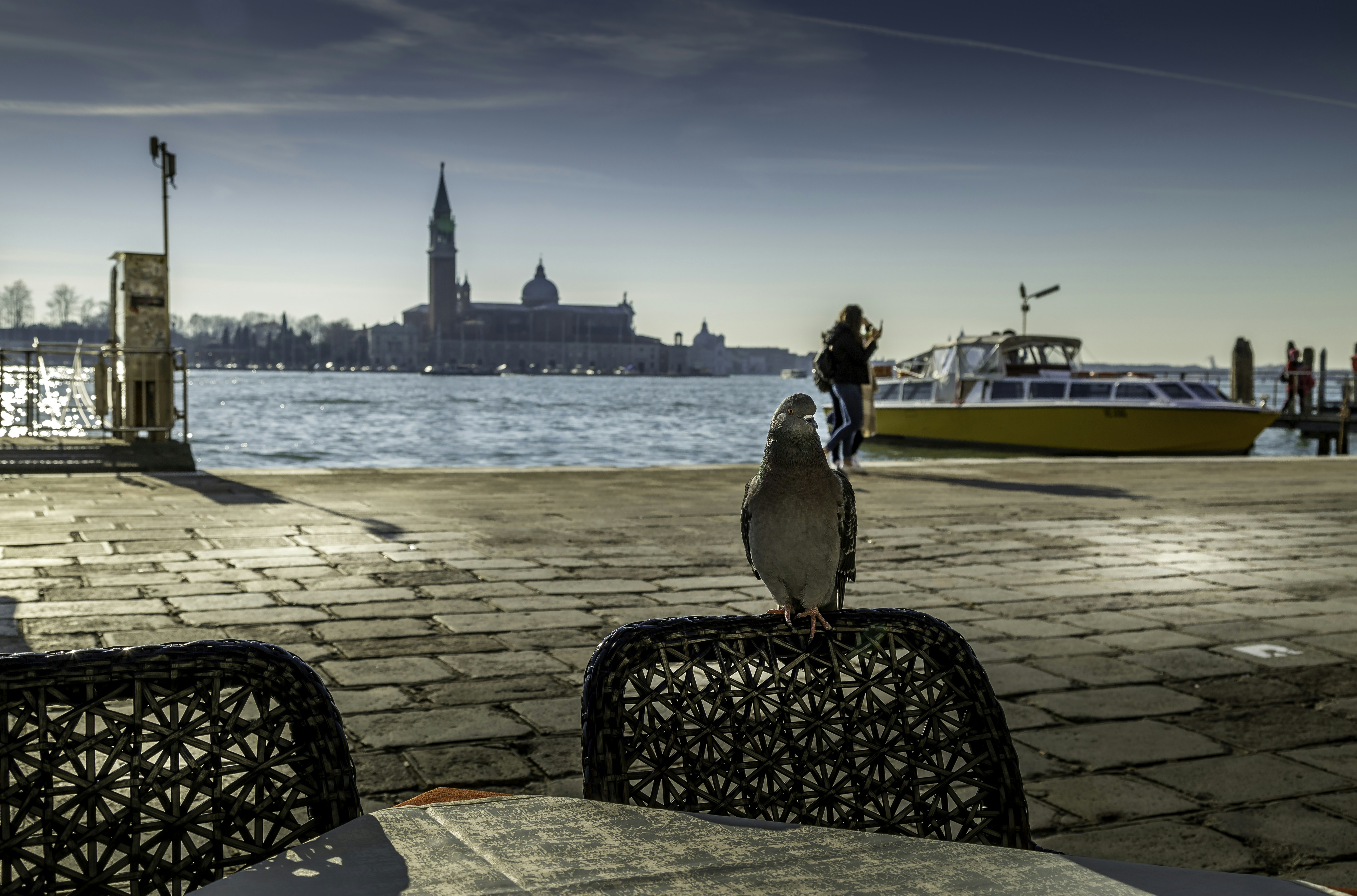 Photo by Kev Ford with Canon EOS 5D Mark III