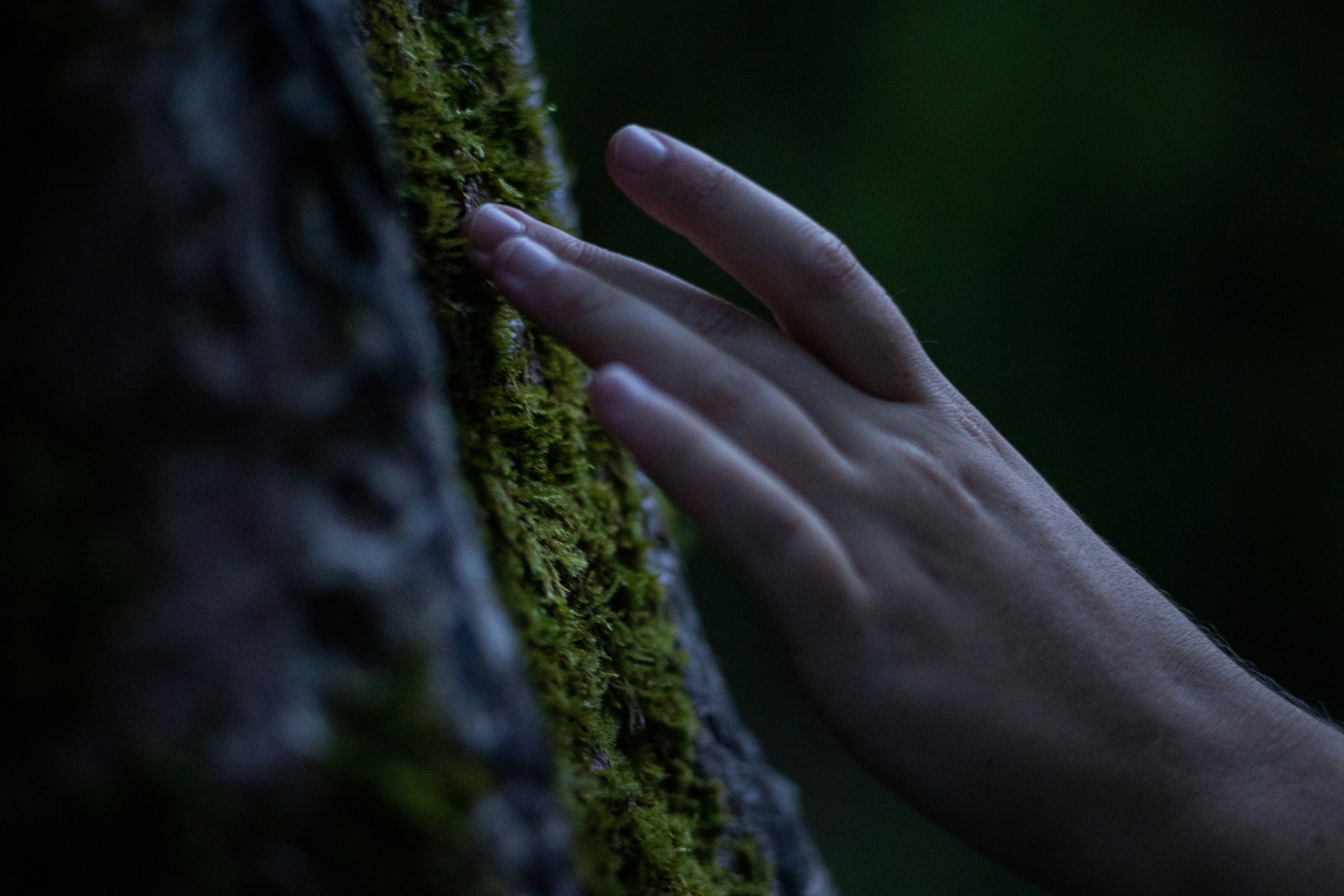 A hand touching a rock photo – Free Grey Image on Unsplash