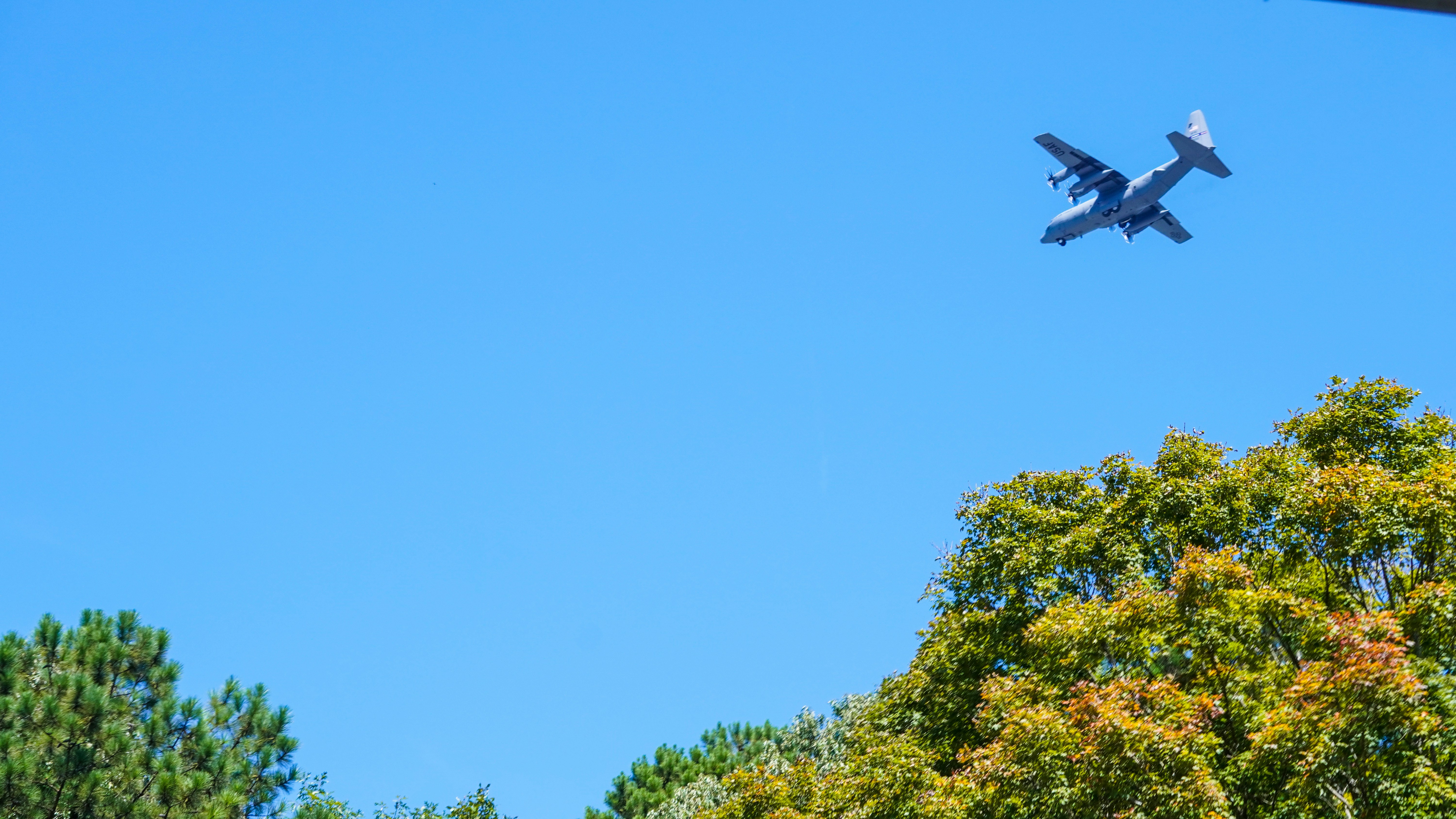 An airplane flying over trees photo – Free Blue Image on Unsplash