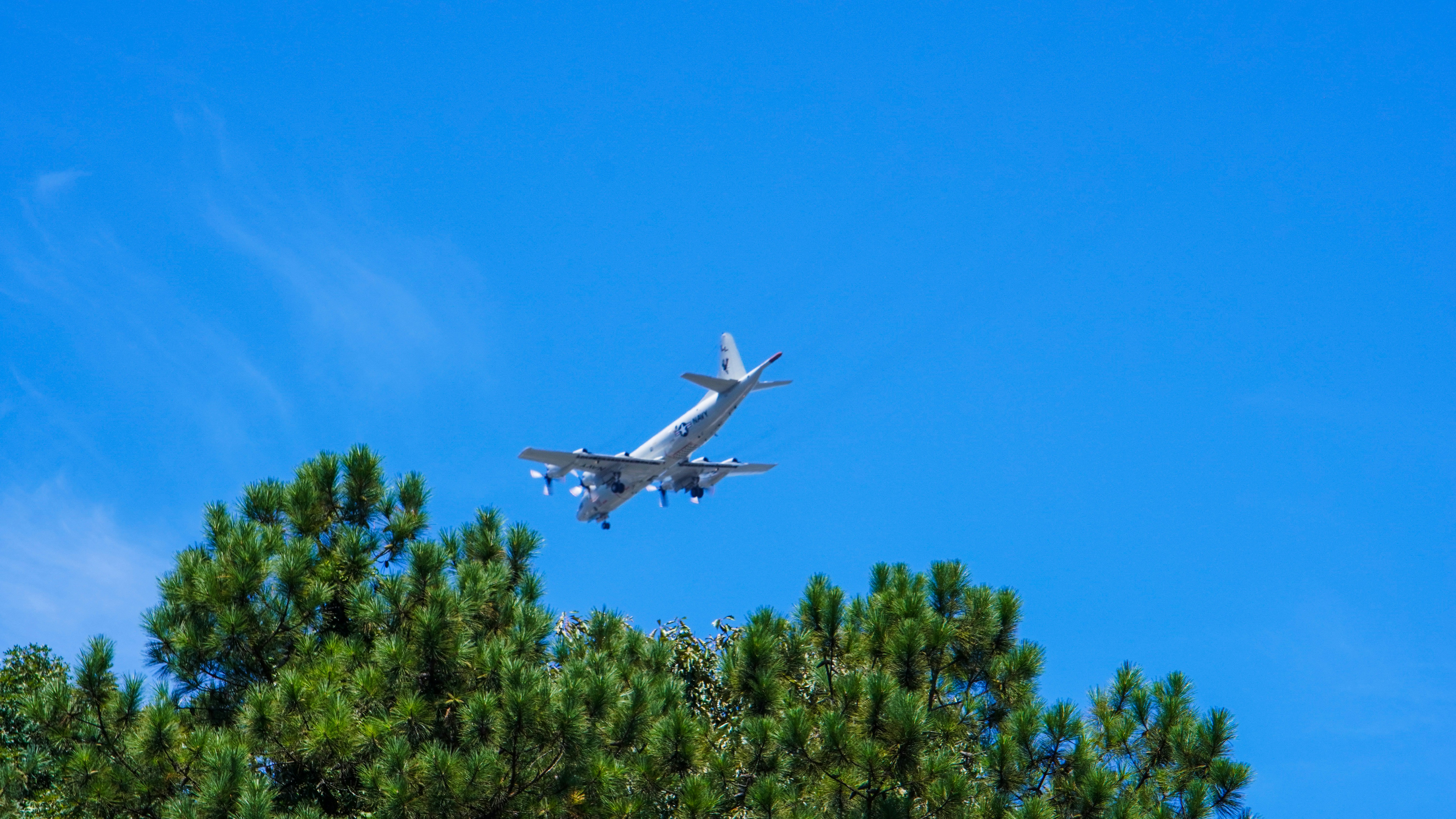A plane flying over trees photo – Free Aircraft Image on Unsplash