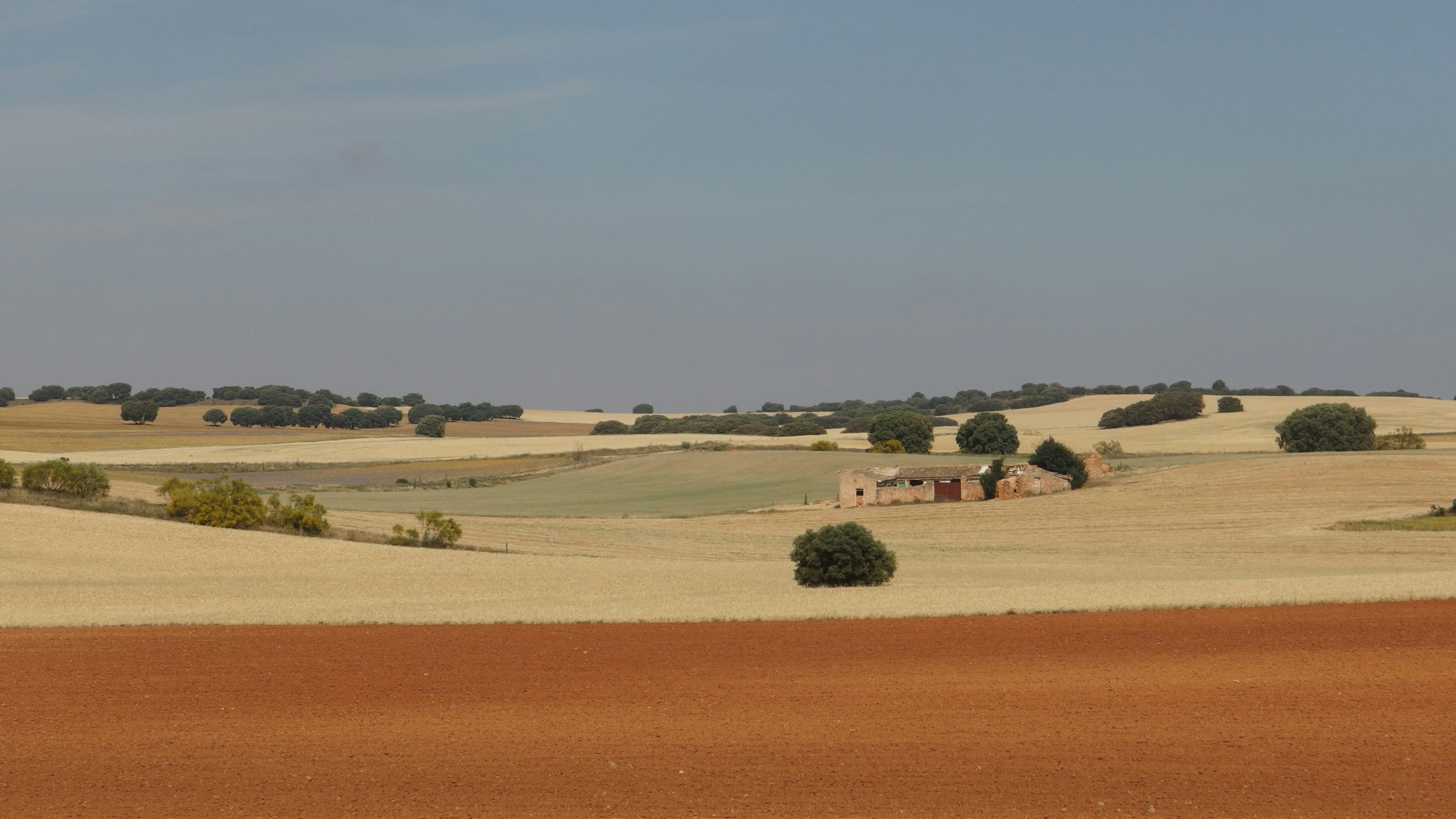 Rustic farmhouse nestled in a golden landscape of rolling fields and distant trees under a clear blue sky.
