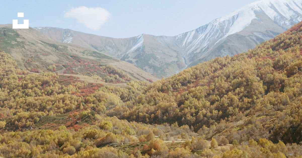 나무와 산이있는 풍경 사진 Unsplash의 무료 언덕과 산 이미지