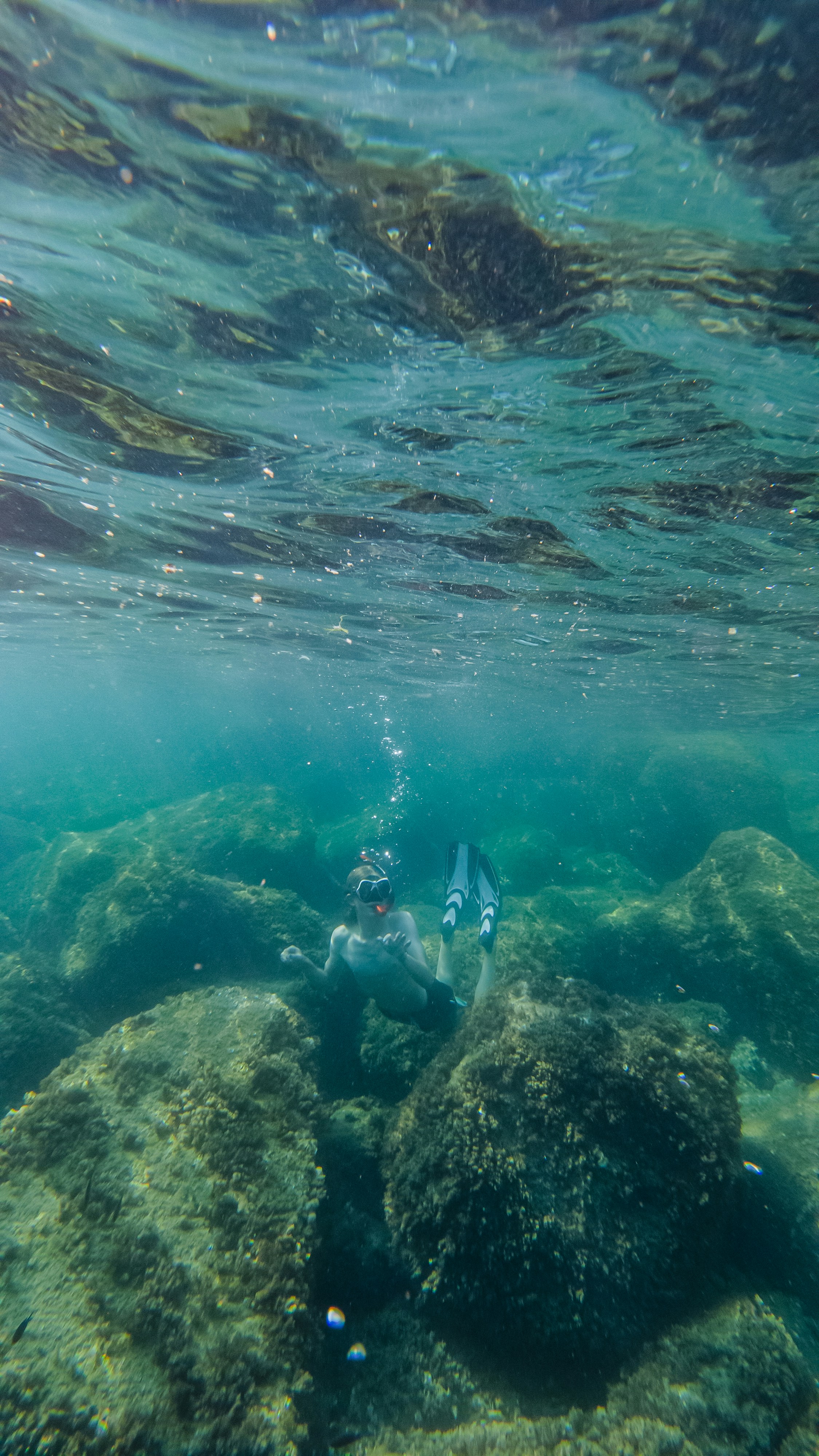 Underwater Glide: Diver Over Coral Ridge