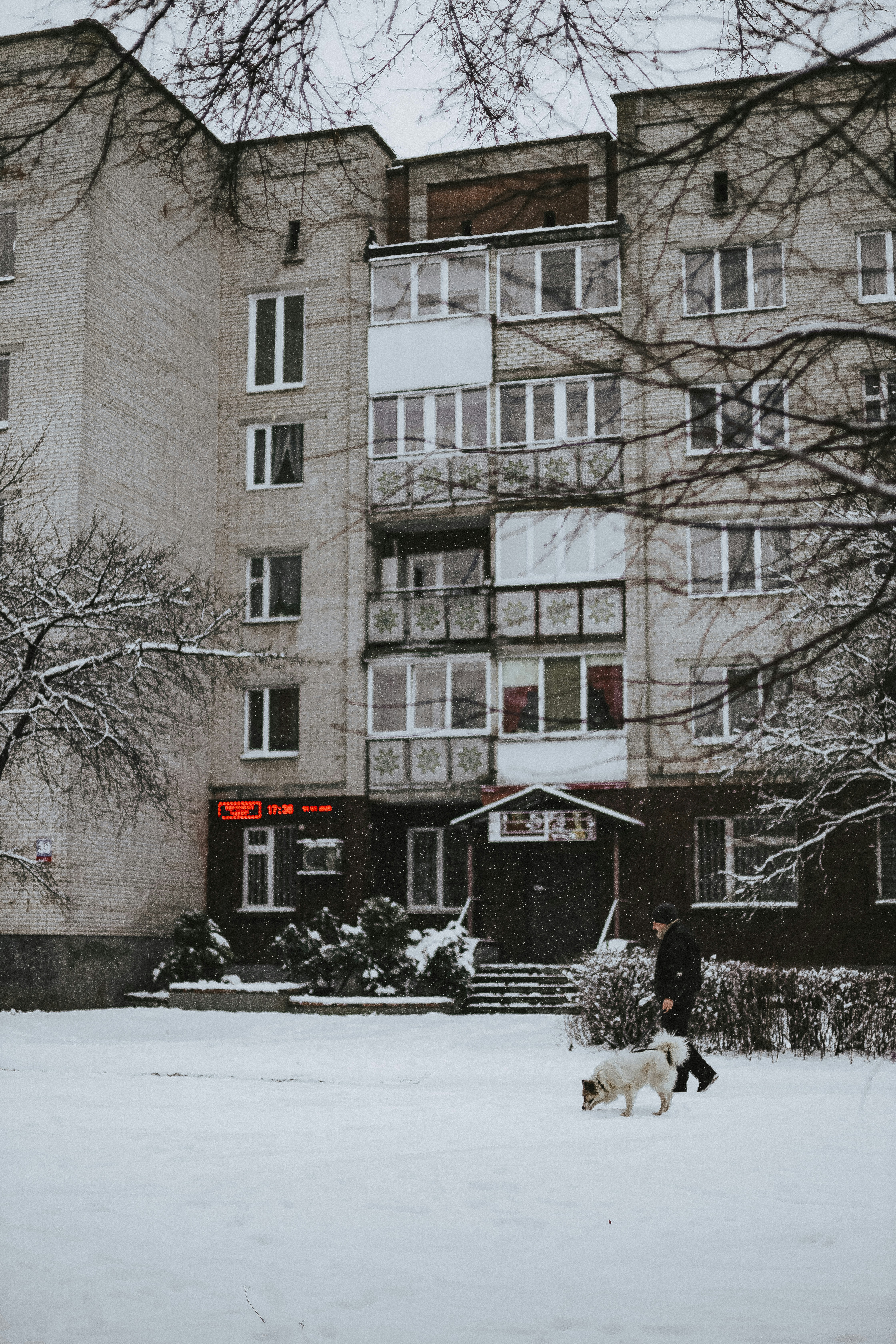 Winter Quiet: A Man and His Dog Navigate a Snowy Brick Block