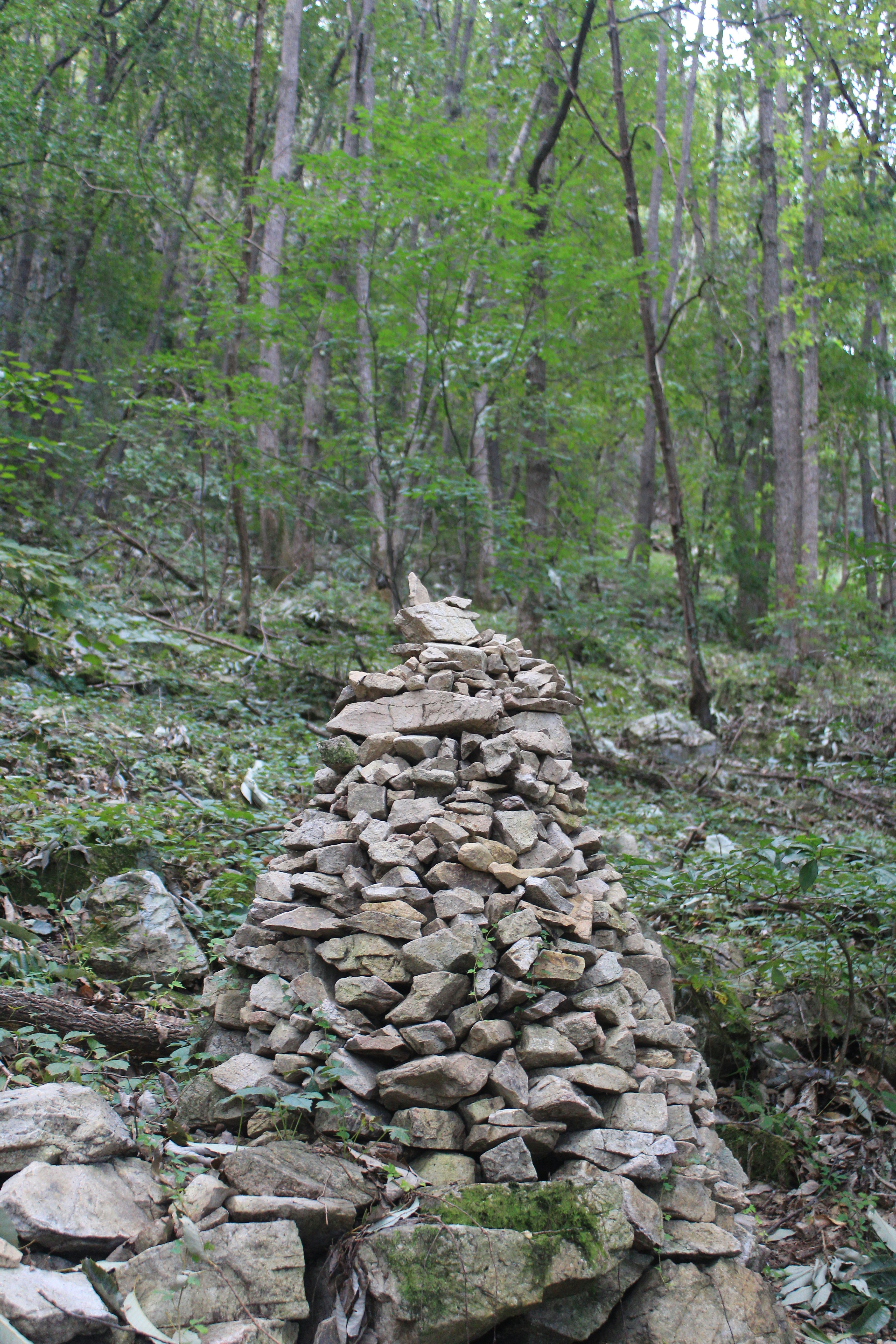 Stone Cairn Rising in a Quiet Verdant Forest