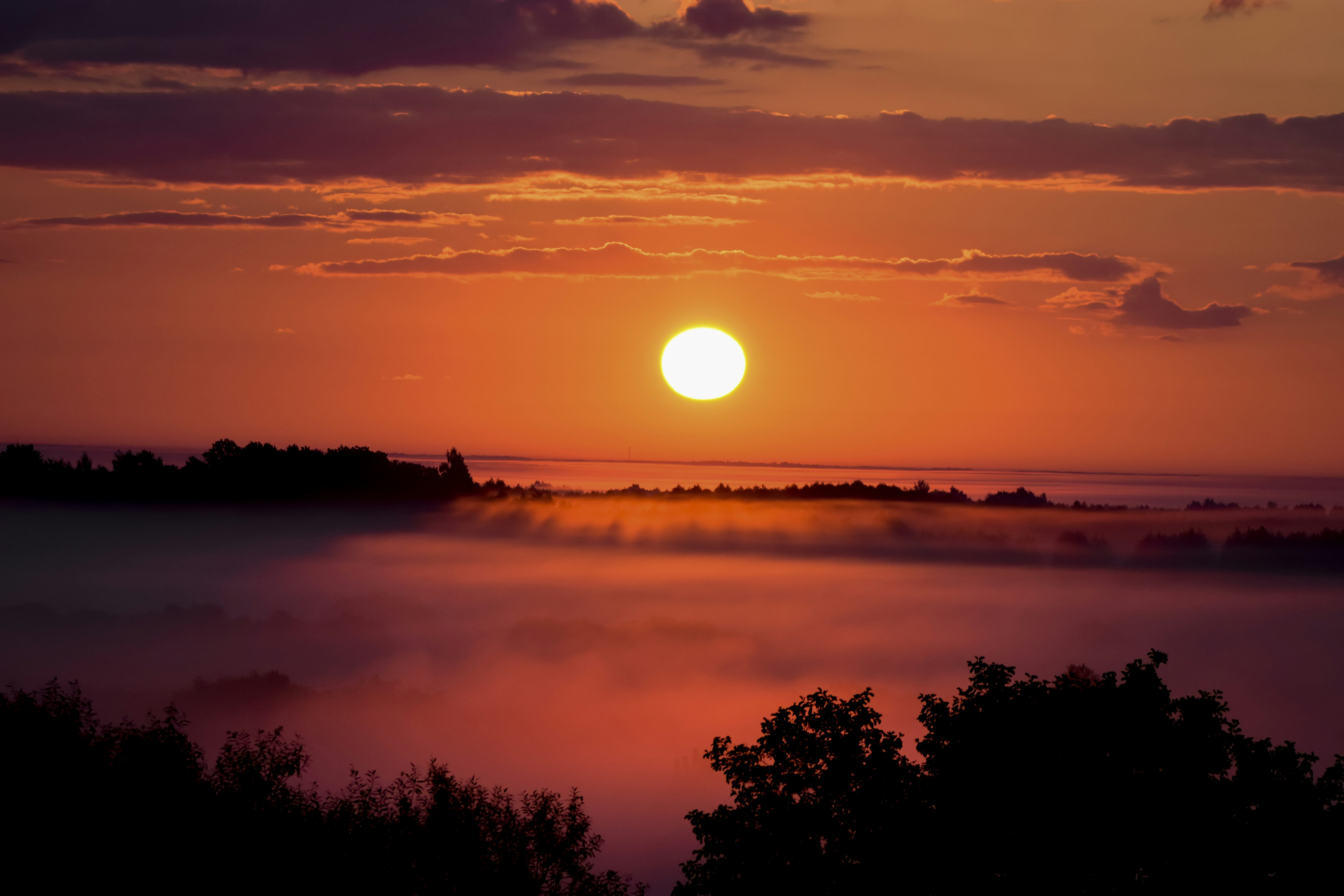 Sunlit Horizon: Misty Lowlands Framed by Silhouetted Trees