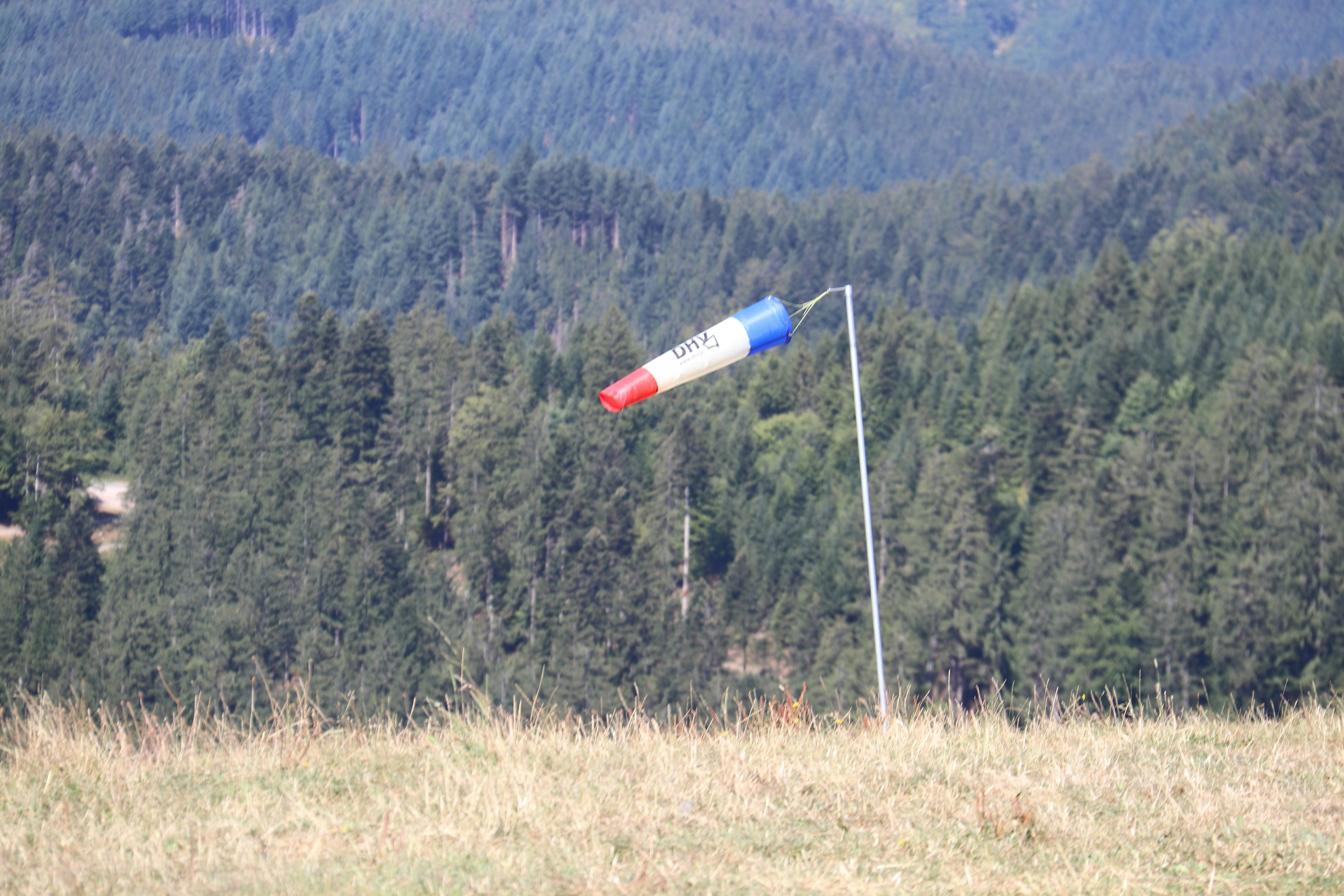 A rocket launching off a field photo – Free Black forest Image on Unsplash