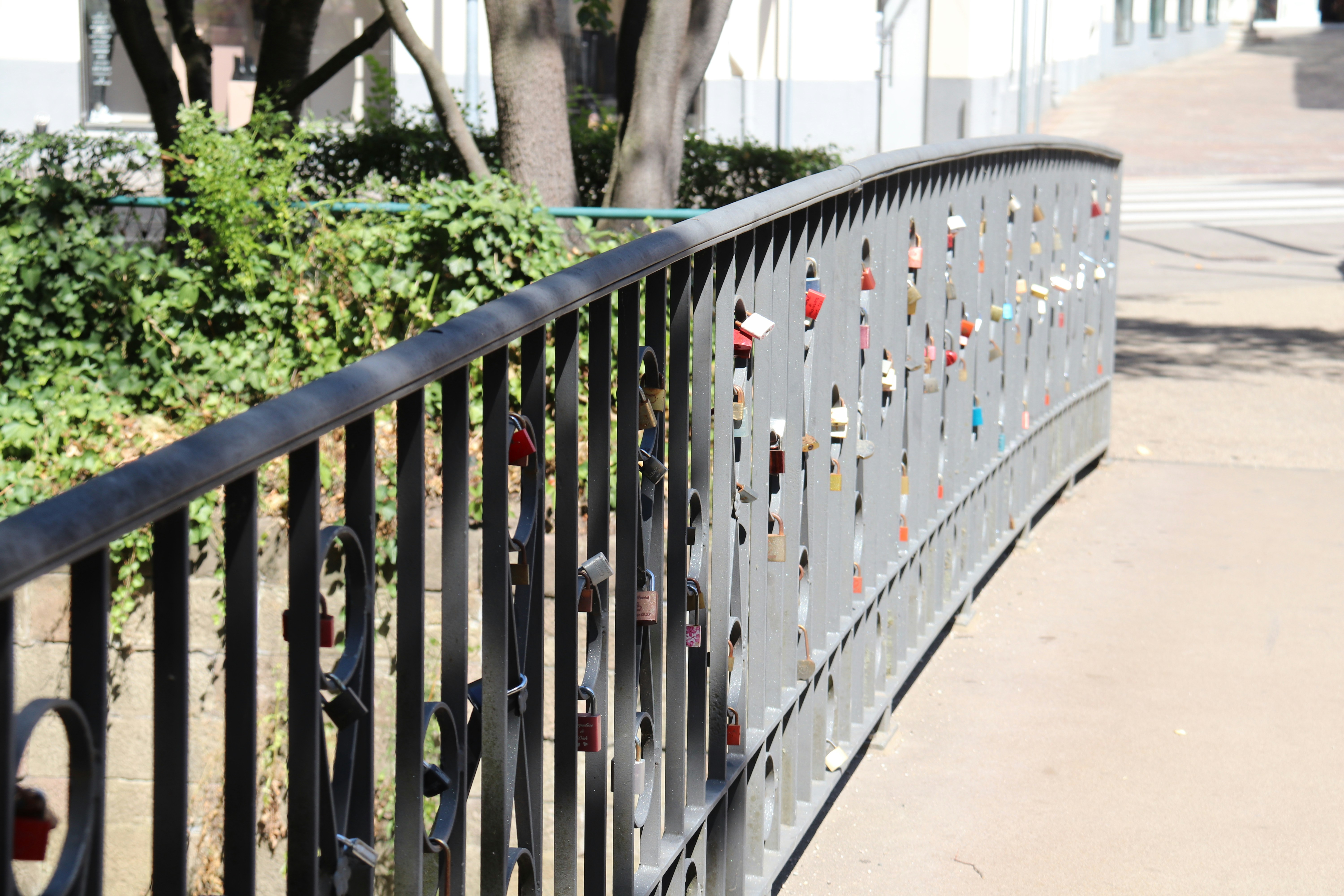 Echoes of Locks: Colorful Padlocks Drape a Sunlit Rail Along a Quiet Path
